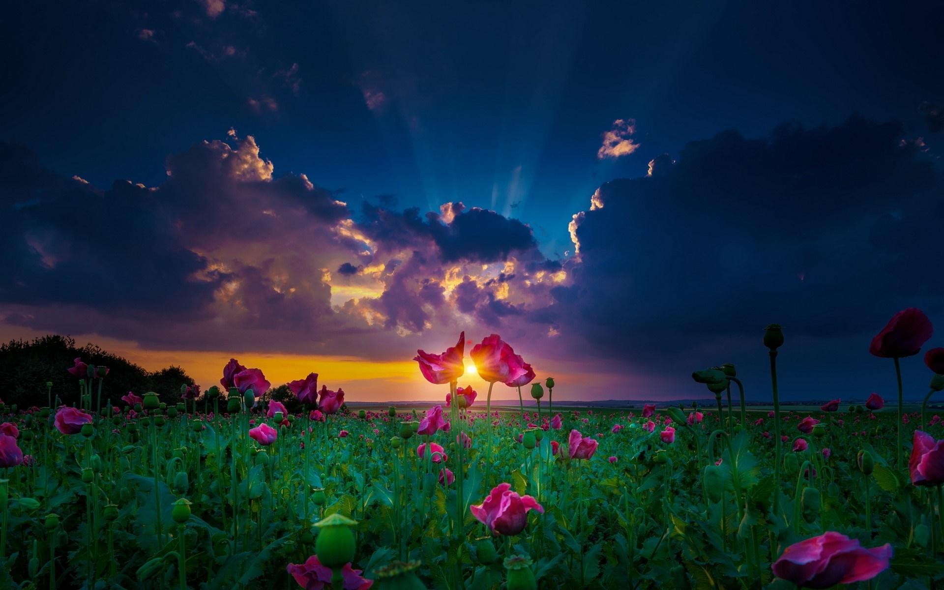 Sunrise Sunset Spring Wallpapers - Top Free Sunrise Sunset Spring ...