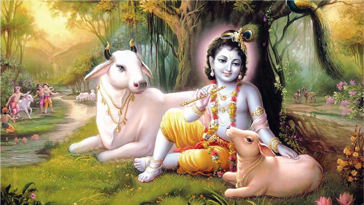 Kanha Wallpapers - Top Free Kanha Backgrounds - WallpaperAccess