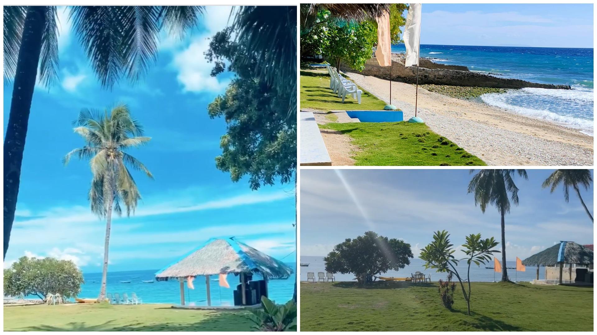 Aloha Beach Wallpapers - Top Free Aloha Beach Backgrounds - WallpaperAccess