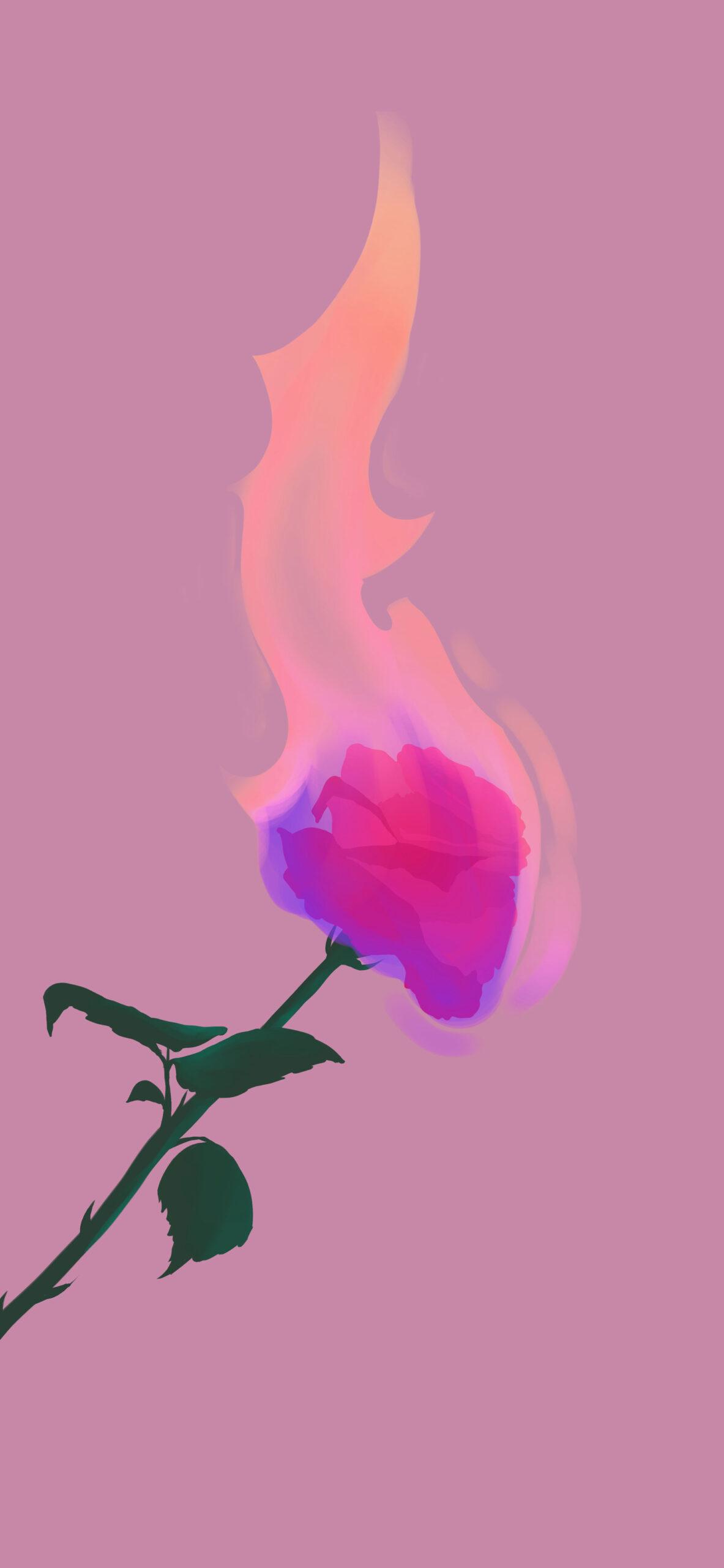 Rose On Fire Wallpapers - Top Free Rose On Fire Backgrounds ...