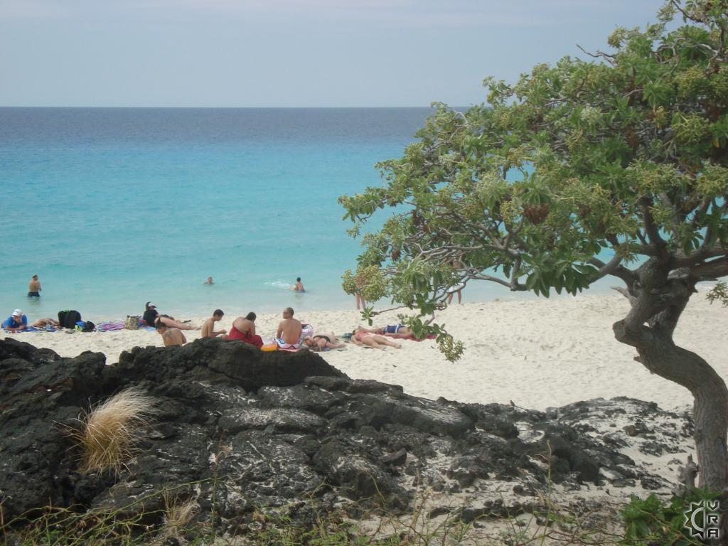 Kailua Kona Hawaii Wallpapers - Top Free Kailua Kona Hawaii Backgrounds ...