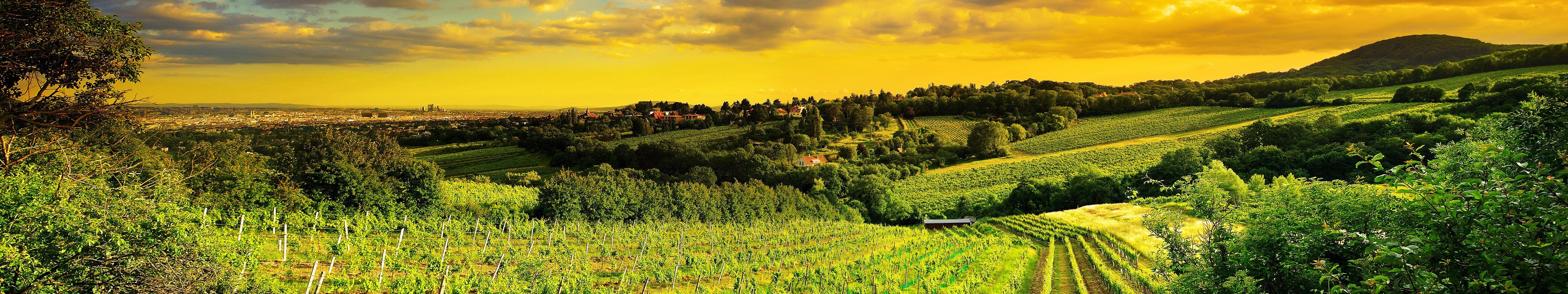 Multiple Screen Wallpapers - Top Free Multiple Screen Backgrounds ...