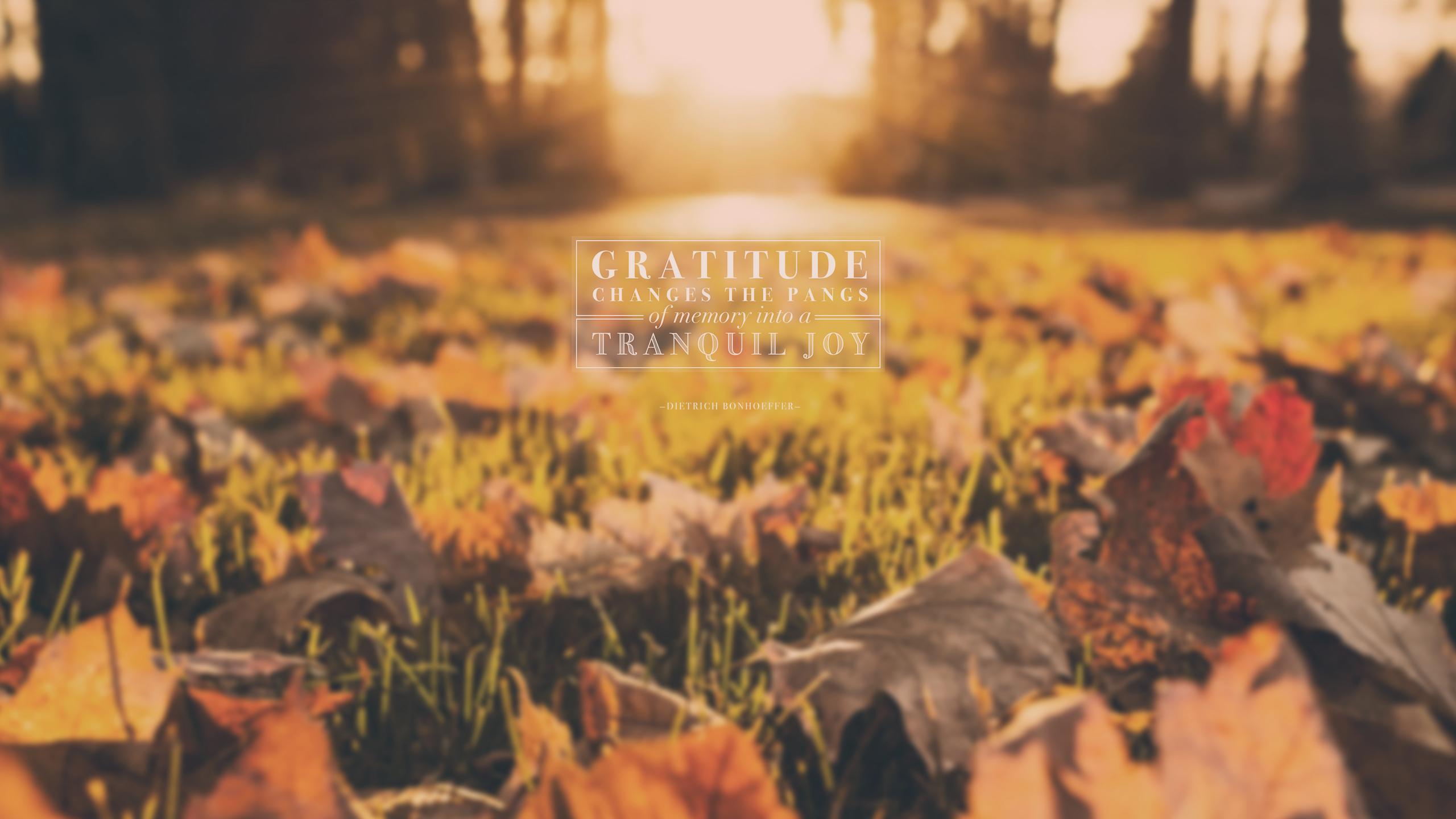 Gratitude Computer Wallpapers - Top Free Gratitude Computer Backgrounds ...