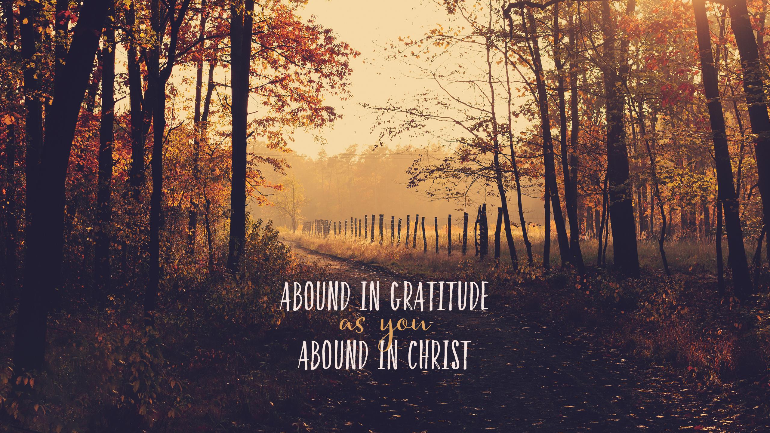 Gratitude Computer Wallpapers - Top Free Gratitude Computer Backgrounds ...