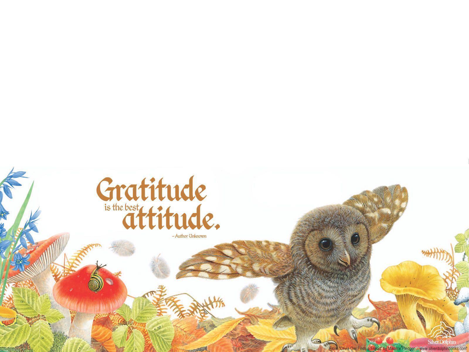 Gratitude Computer Wallpapers - Top Free Gratitude Computer Backgrounds - WallpaperAccess