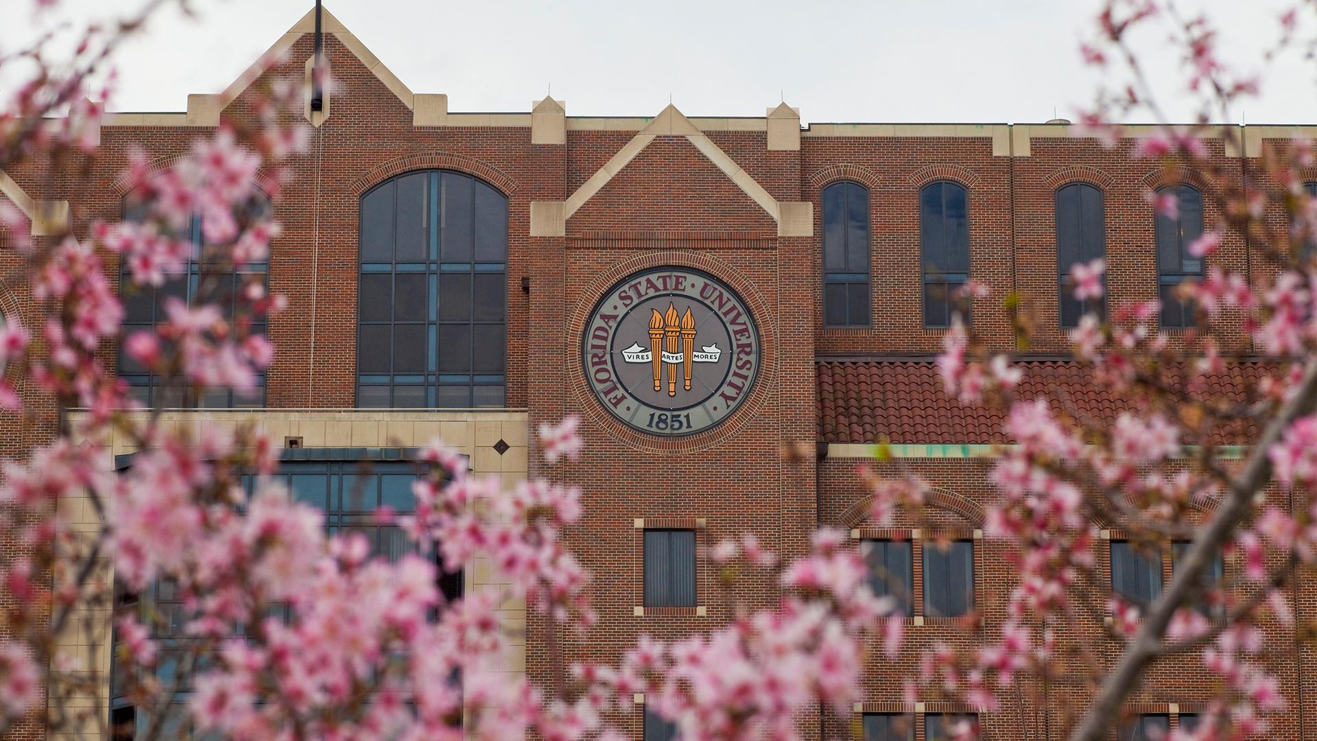 Florida State University Wallpapers - Top Free Florida State University ...