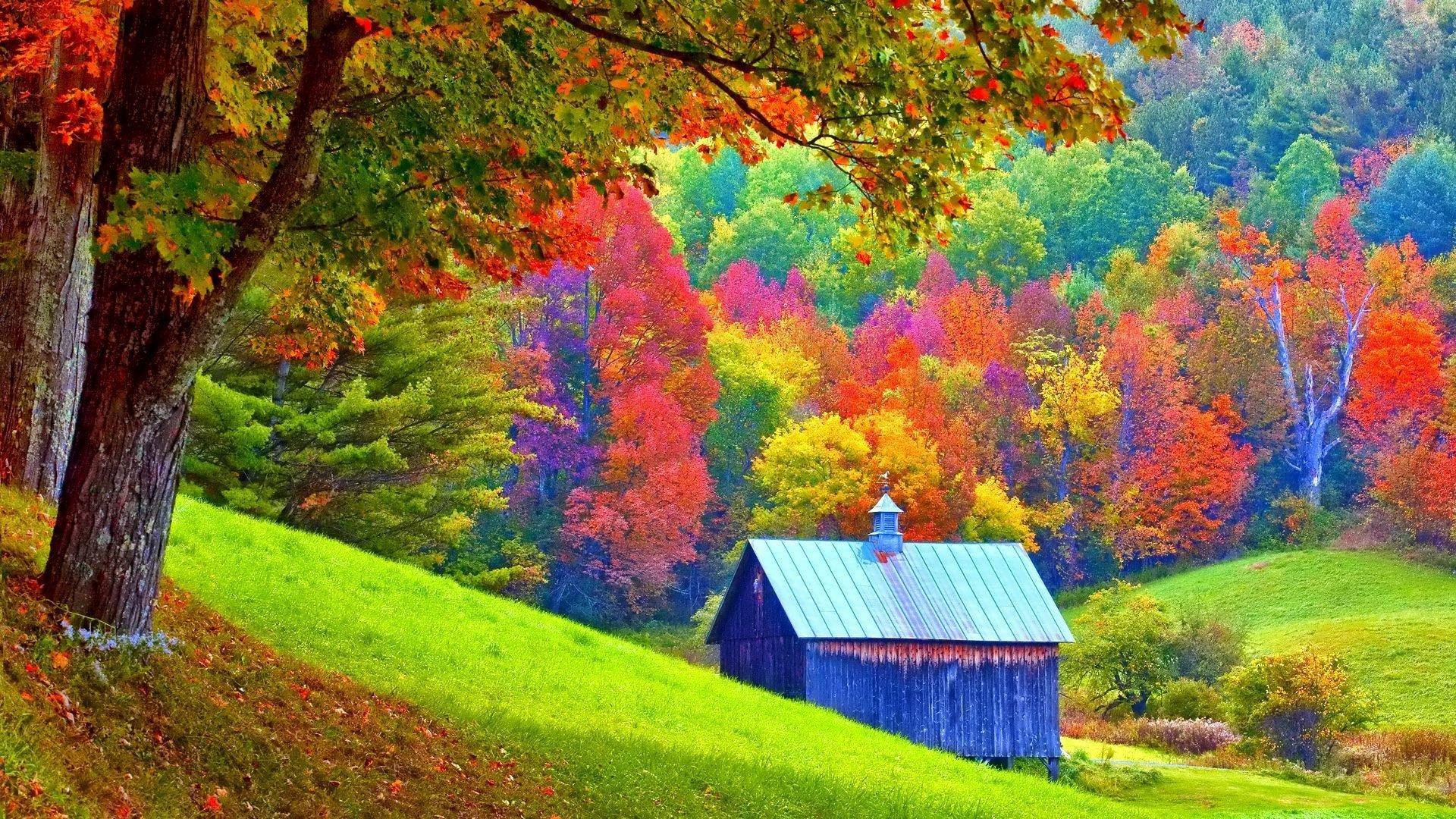 Shed Wallpapers - Top Free Shed Backgrounds - WallpaperAccess