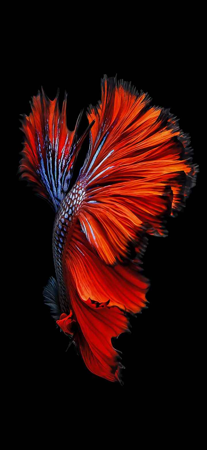 Premium Wallpapers - Top Free Premium Backgrounds - WallpaperAccess