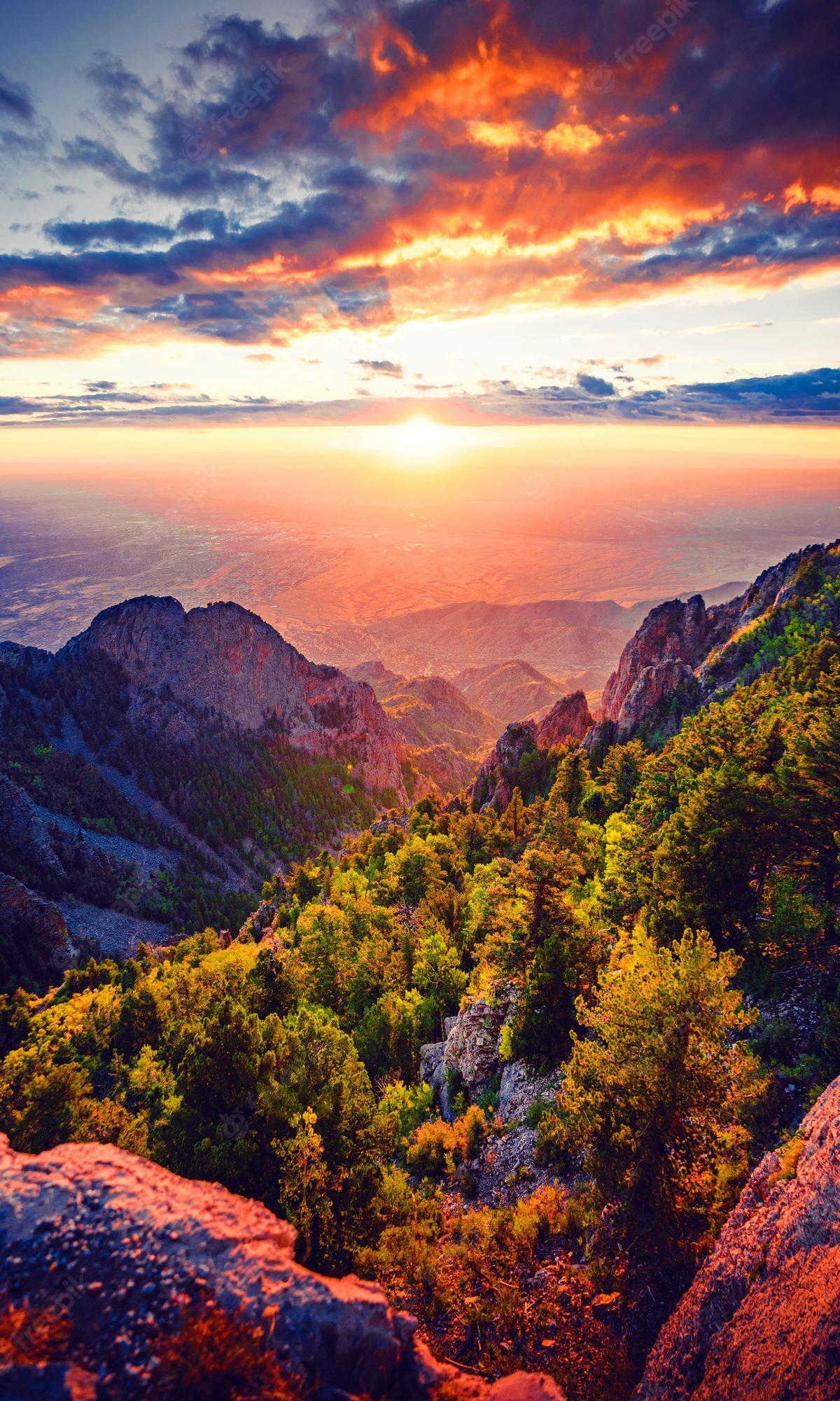 Premium Wallpapers - Top Free Premium Backgrounds - WallpaperAccess