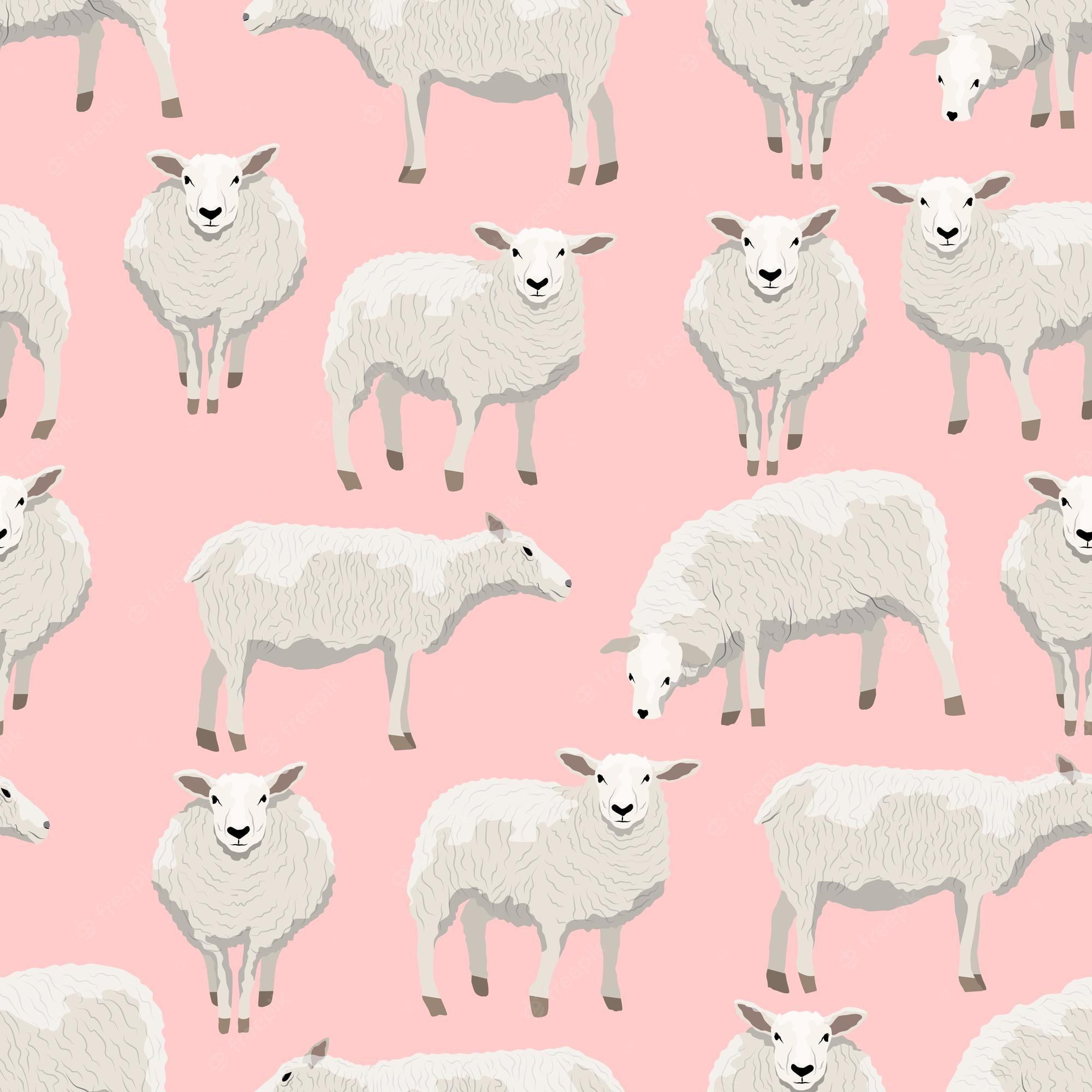 Kawaii Sheep Wallpapers - Top Free Kawaii Sheep Backgrounds ...