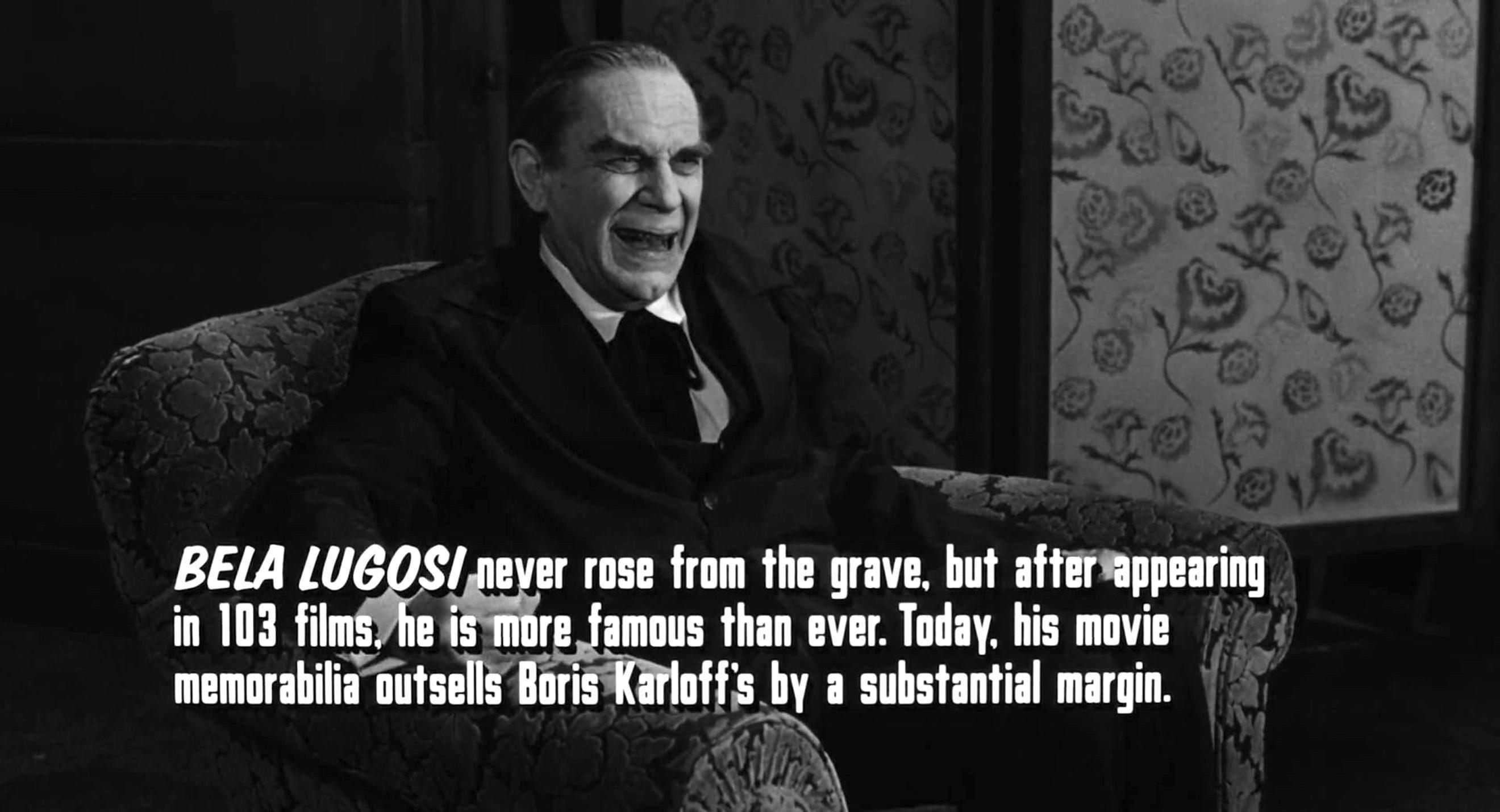 Ed Wood Wallpapers - Top Free Ed Wood Backgrounds - WallpaperAccess