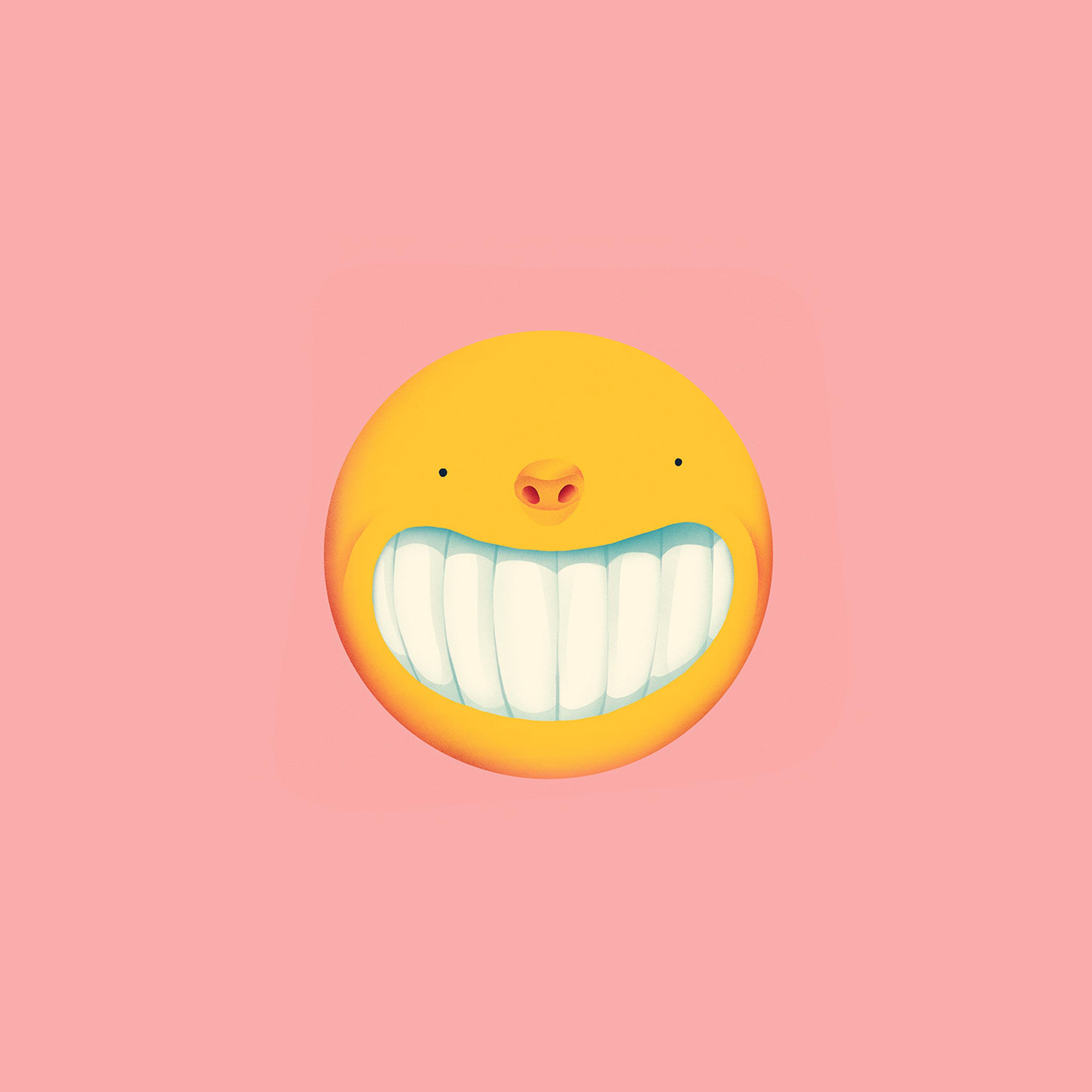Smile Meme Wallpapers - Top Free Smile Meme Backgrounds - WallpaperAccess