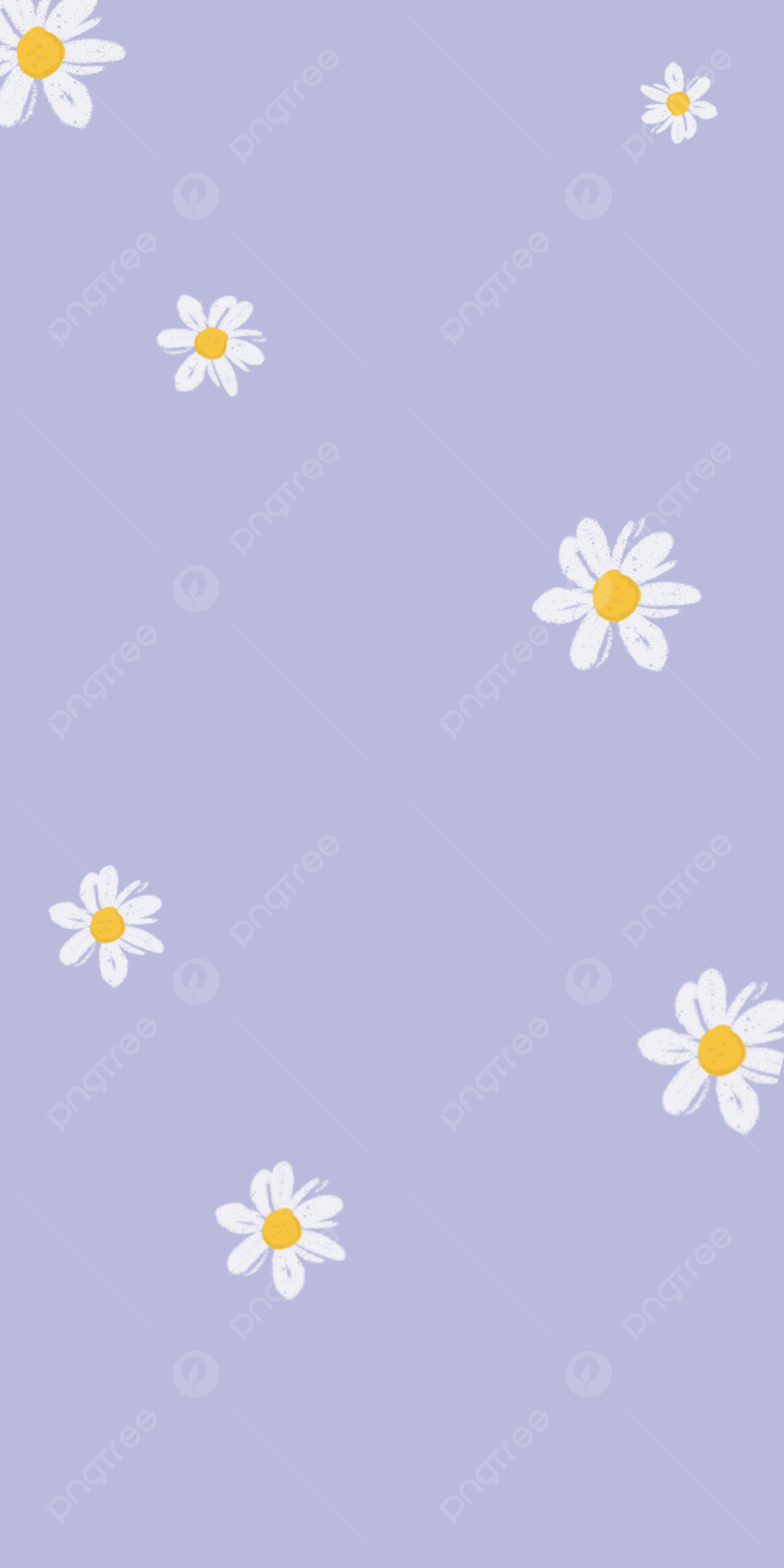 Daisy Purple Wallpapers - Top Free Daisy Purple Backgrounds ...