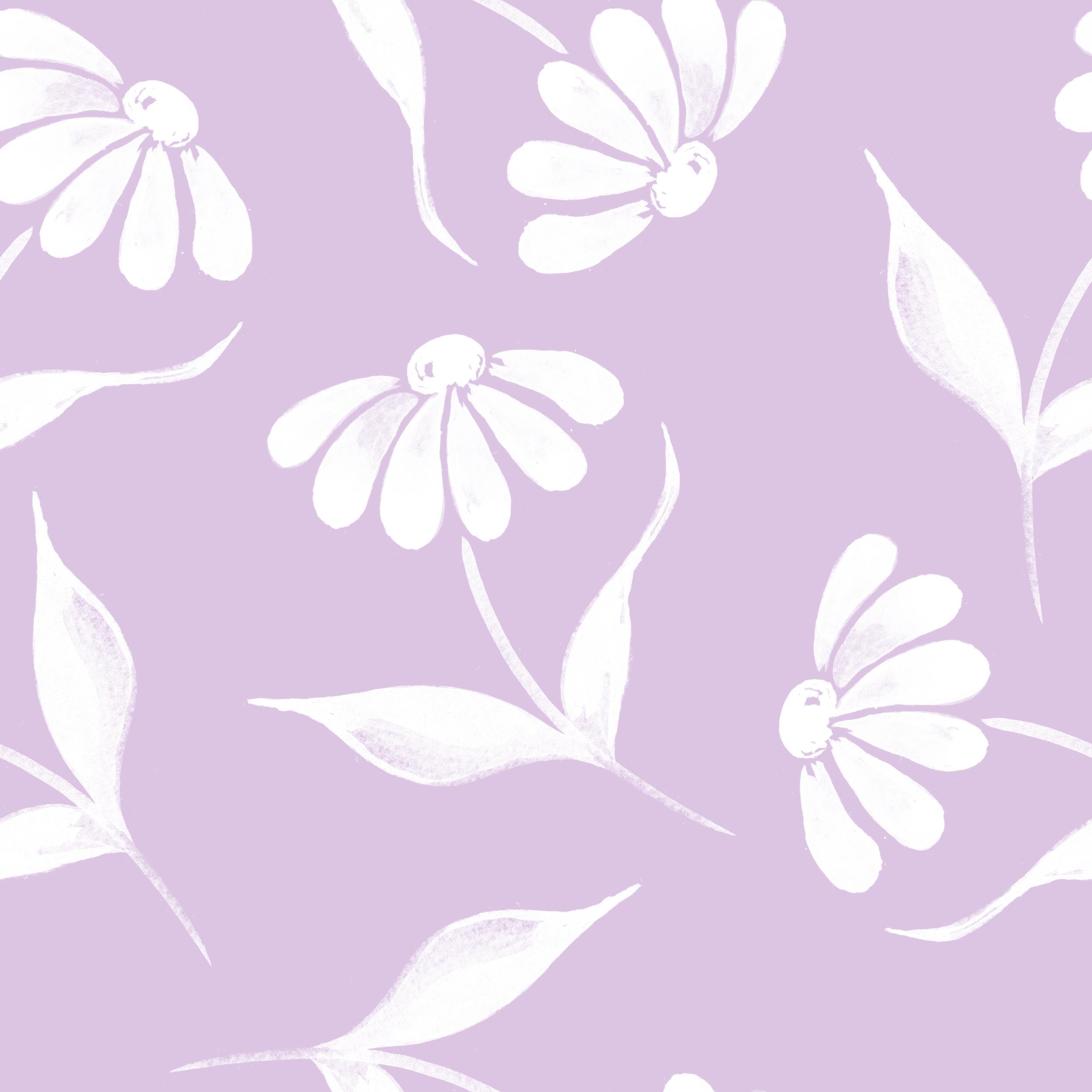 Daisy Purple Wallpapers - Top Free Daisy Purple Backgrounds ...