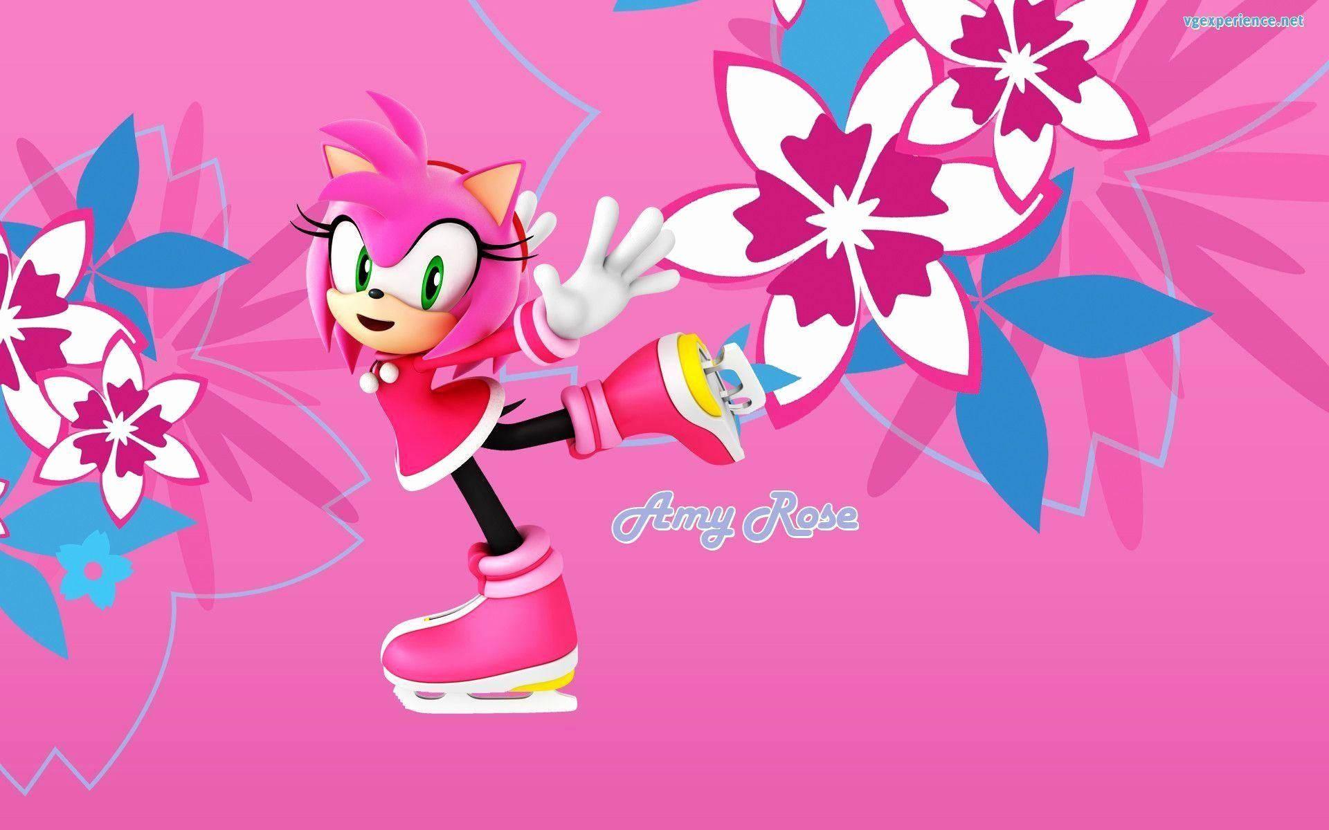 Amy Rose Sonic Wallpapers - Top Free Amy Rose Sonic Backgrounds ...