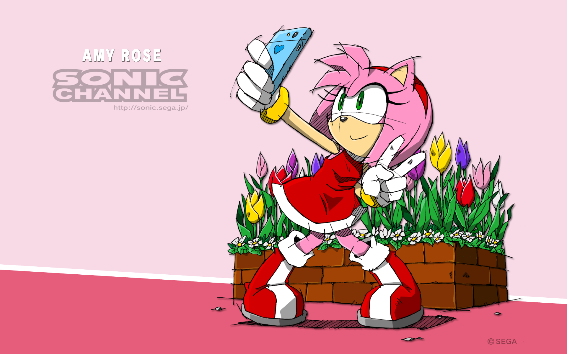 Amy Rose Sonic Wallpapers - Top Free Amy Rose Sonic Backgrounds ...