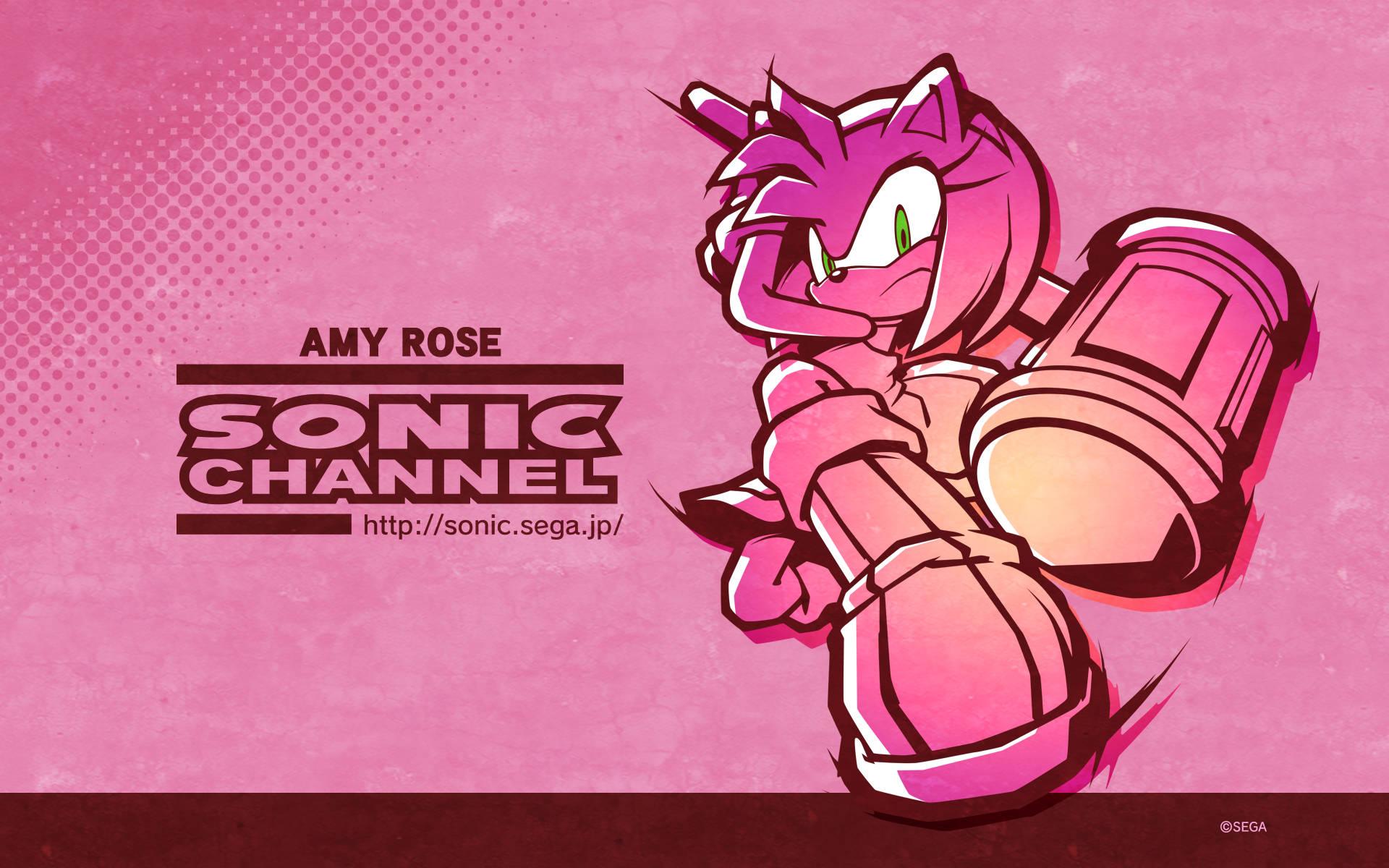 Amy Rose Sonic Wallpapers - Top Free Amy Rose Sonic Backgrounds ...