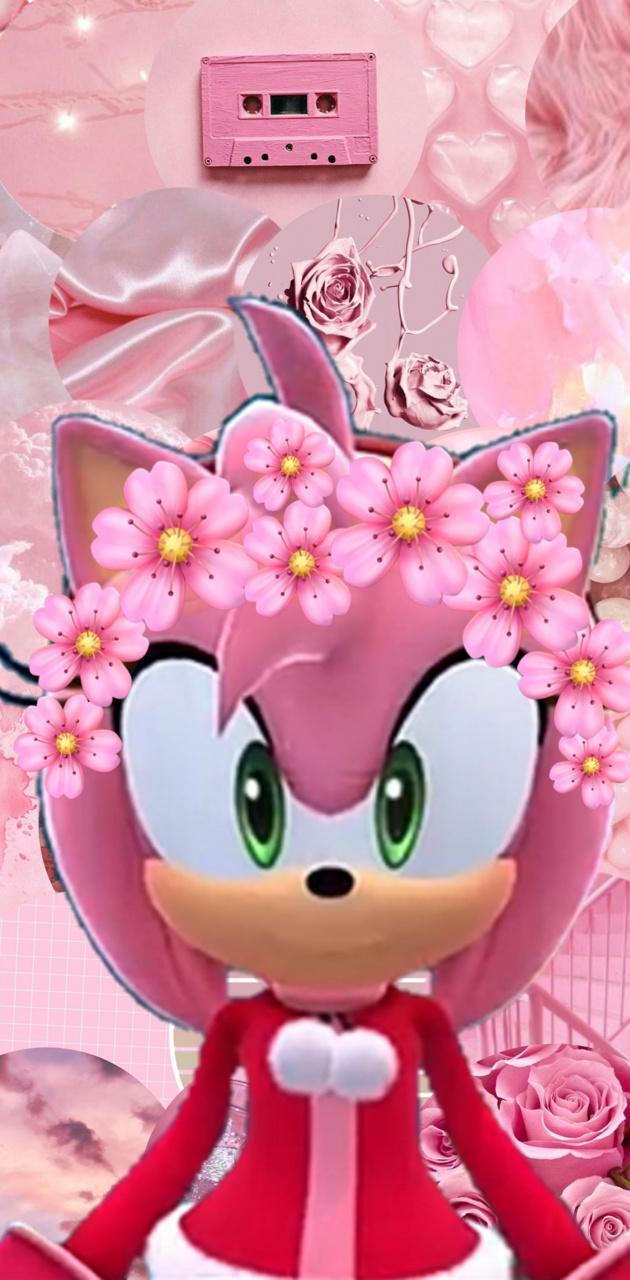 Amy Rose Sonic Wallpapers - Top Free Amy Rose Sonic Backgrounds ...