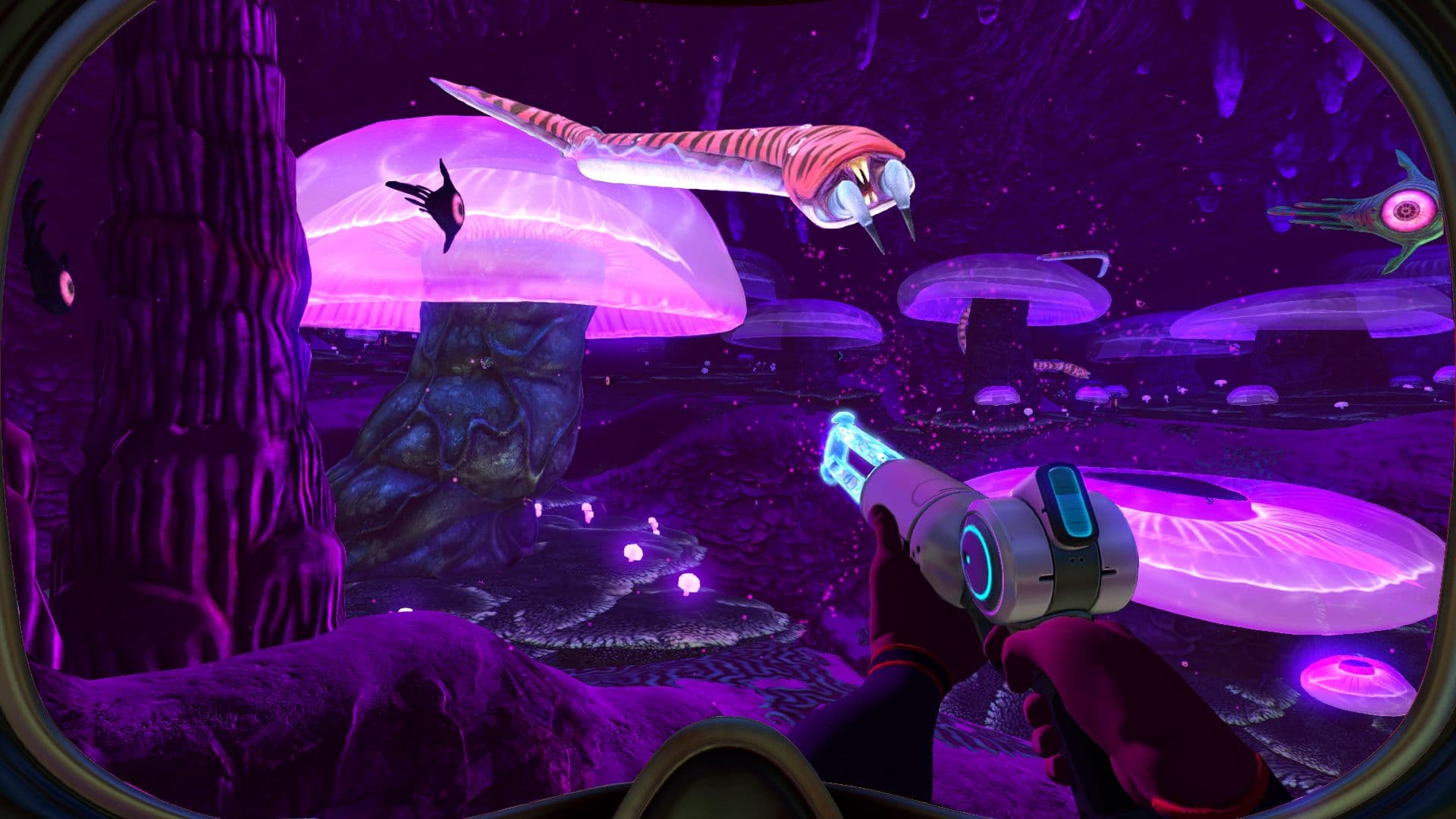 Alterra Wallpapers - Top Free Alterra Backgrounds - WallpaperAccess