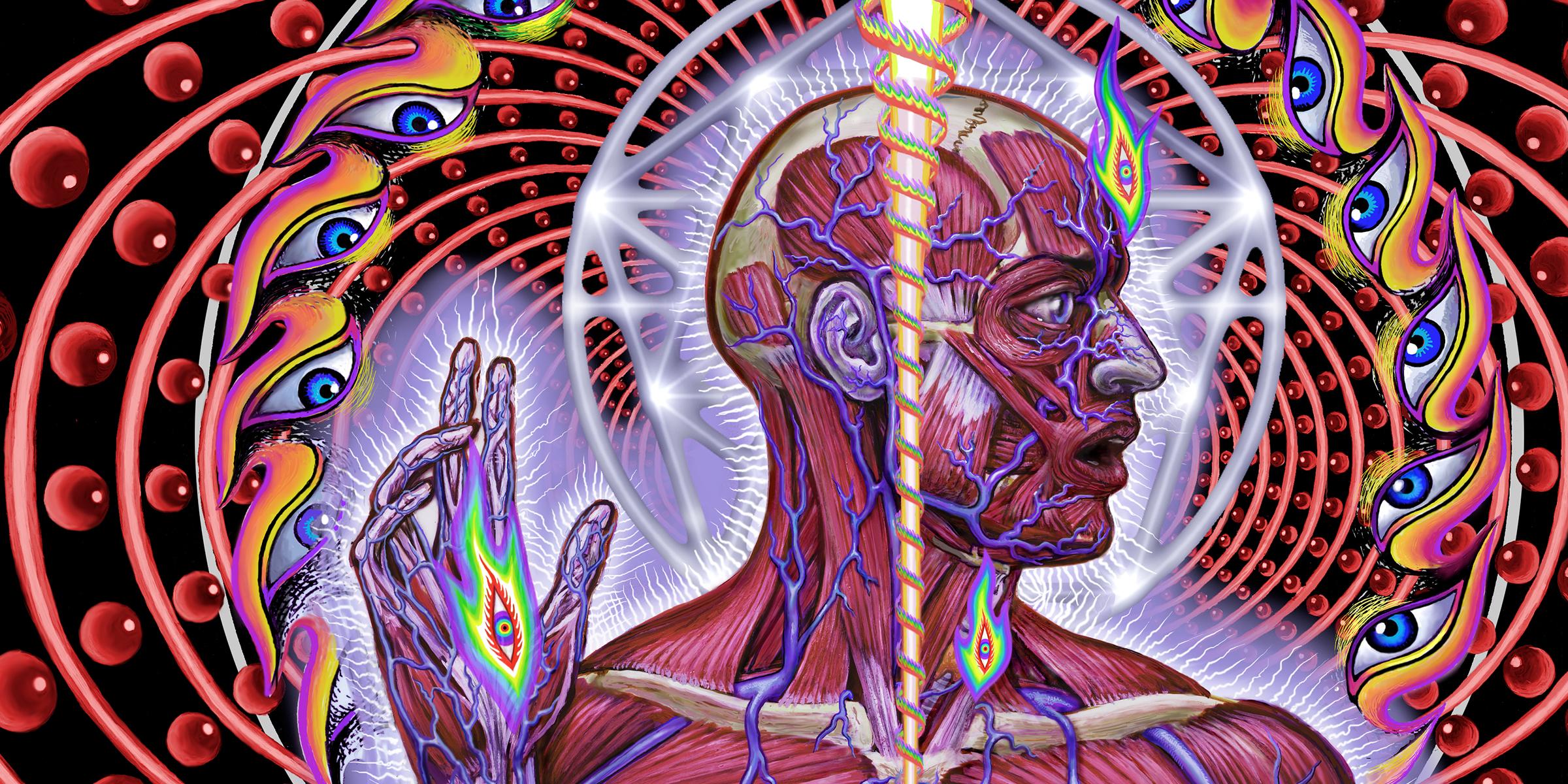 Alex Gray Wallpapers - Top Free Alex Gray Backgrounds - WallpaperAccess