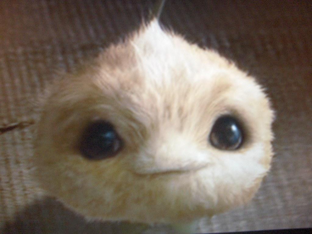 CJ7 Wallpapers - Top Free CJ7 Backgrounds - WallpaperAccess