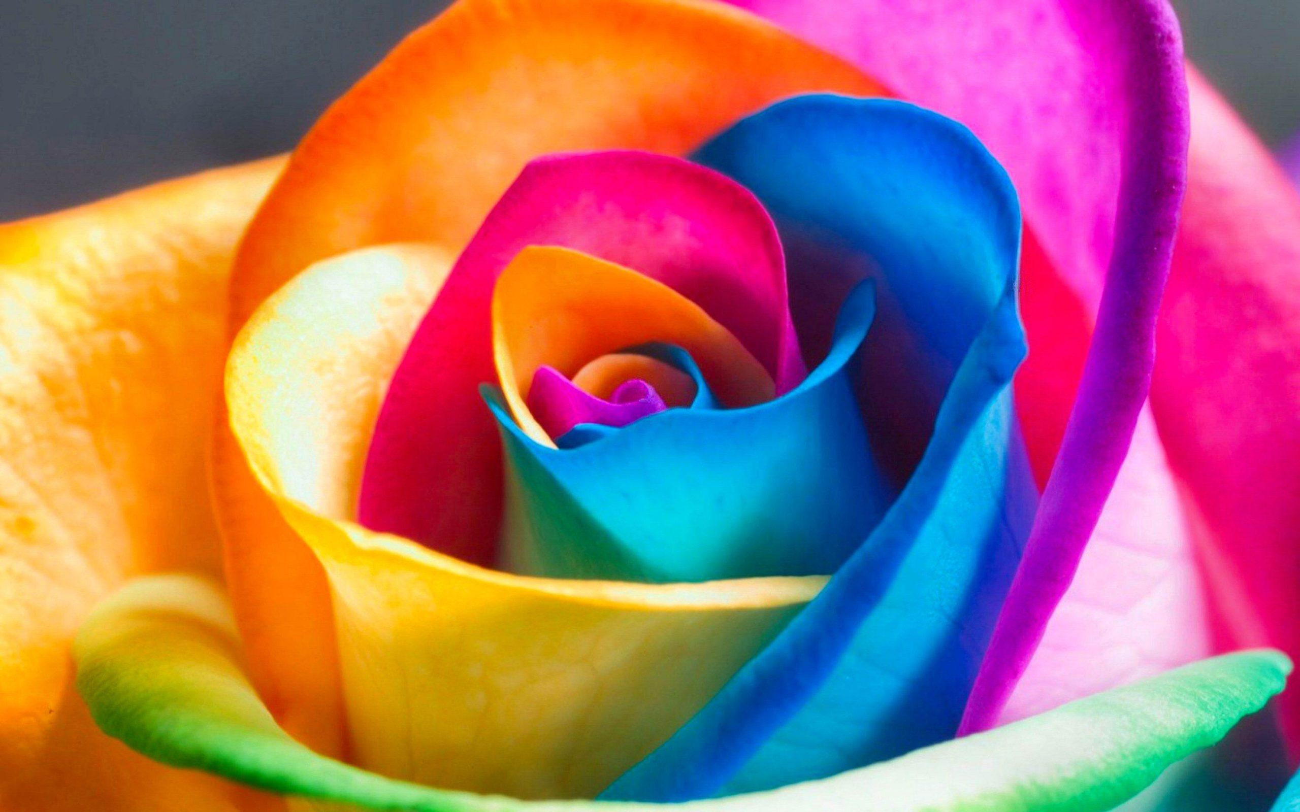 Colorful Photography Wallpapers - Top Free Colorful Photography ...