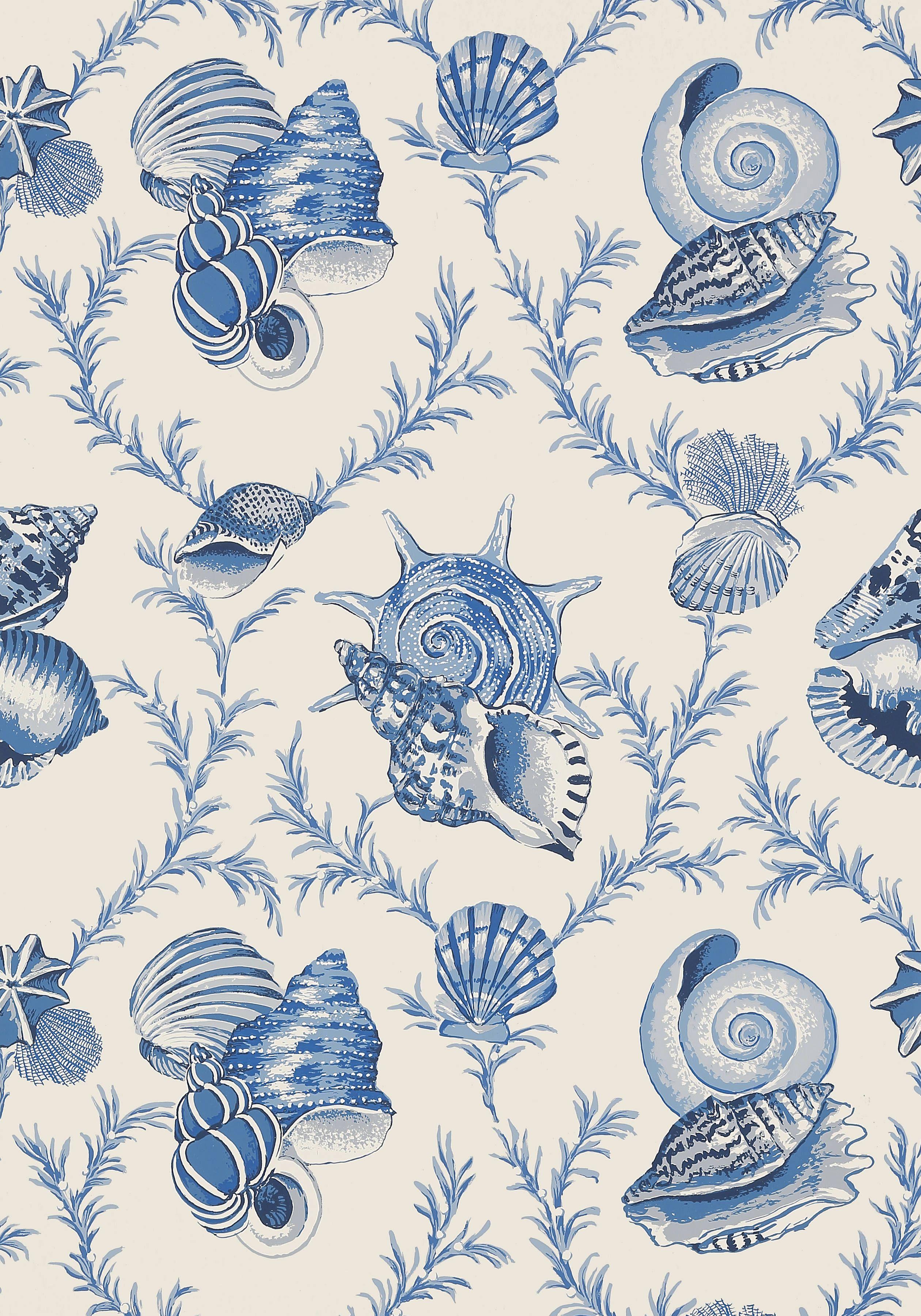 Seashell House Wallpapers - Top Free Seashell House Backgrounds ...