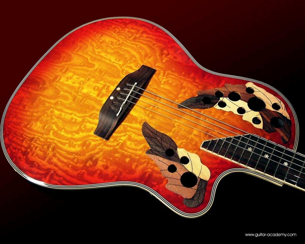 Ovation Guitar Wallpapers - Top Free Ovation Guitar Backgrounds ...