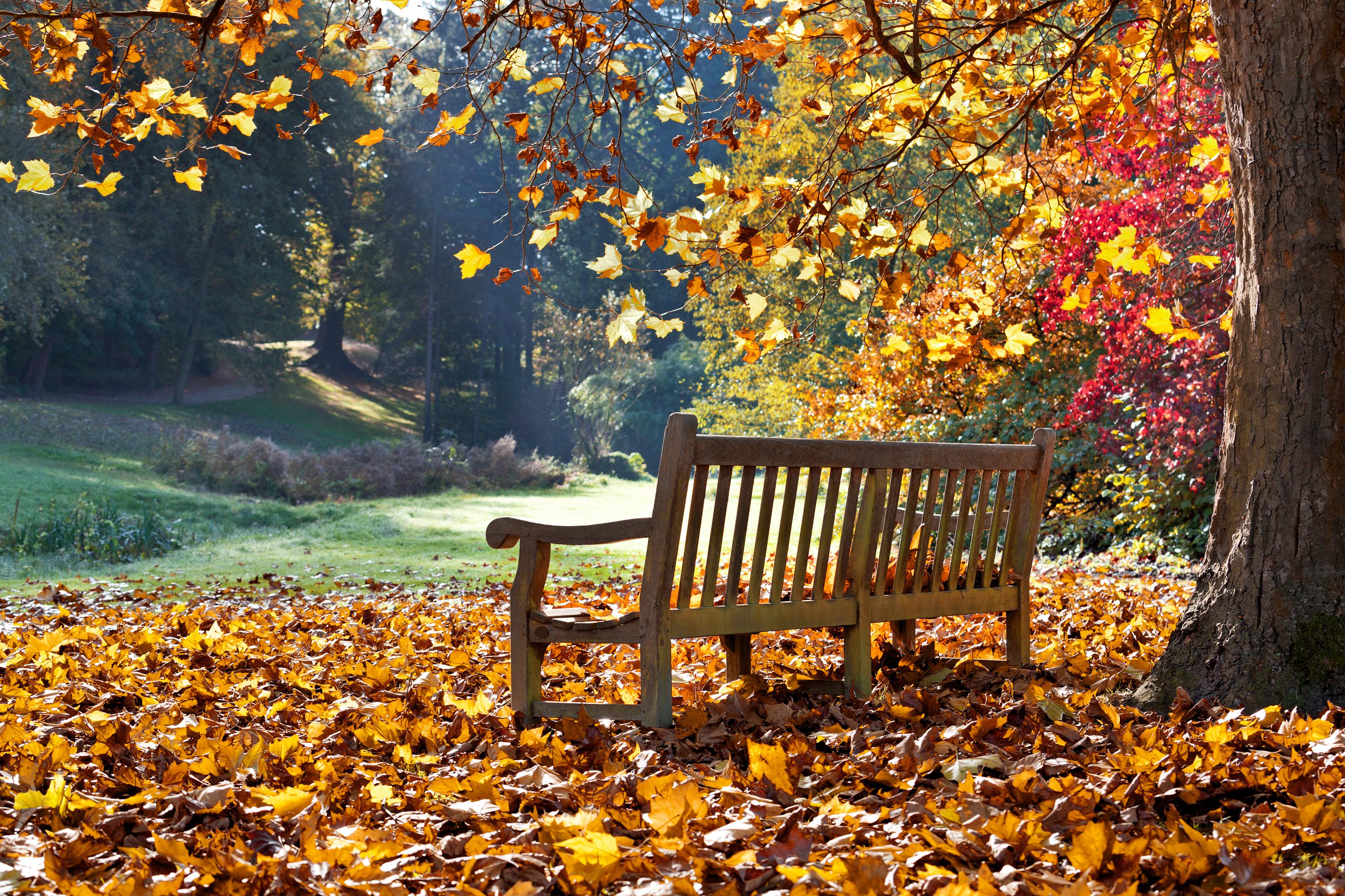 Autumn Bench Wallpapers - Top Free Autumn Bench Backgrounds ...
