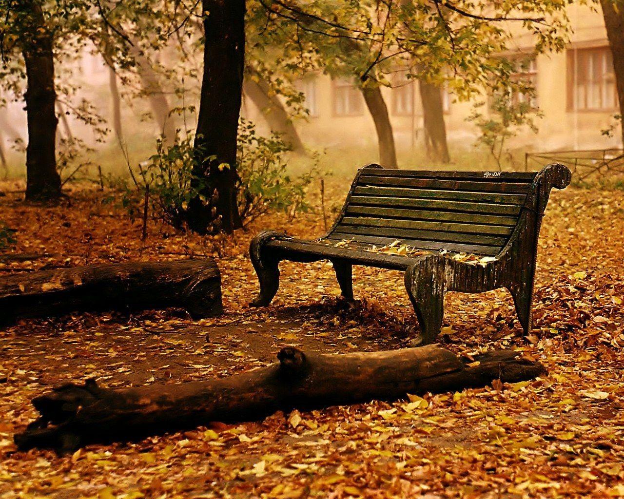 Autumn Bench Wallpapers - Top Free Autumn Bench Backgrounds ...