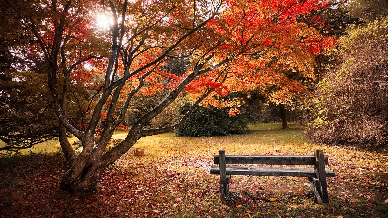 Autumn Bench Wallpapers - Top Free Autumn Bench Backgrounds ...