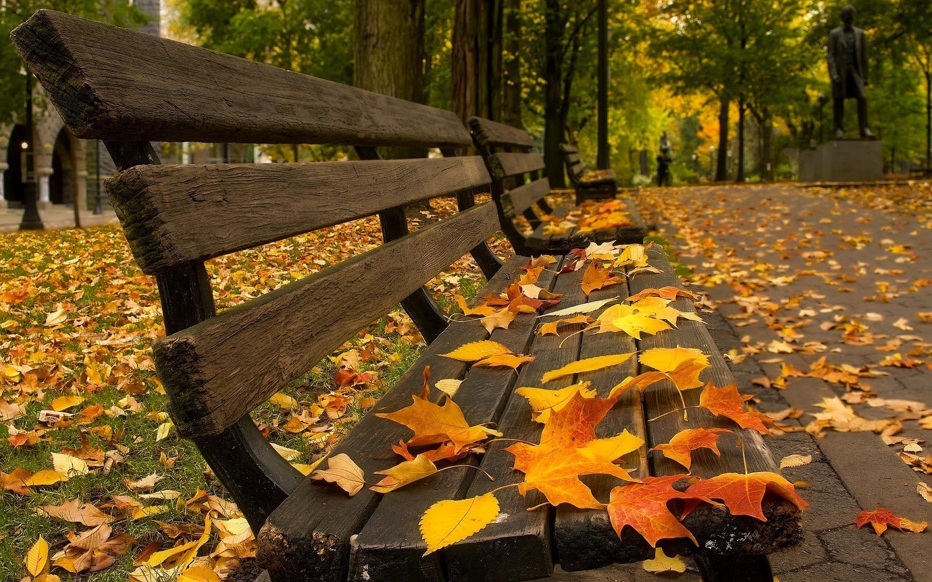 Autumn Bench Wallpapers - Top Free Autumn Bench Backgrounds ...