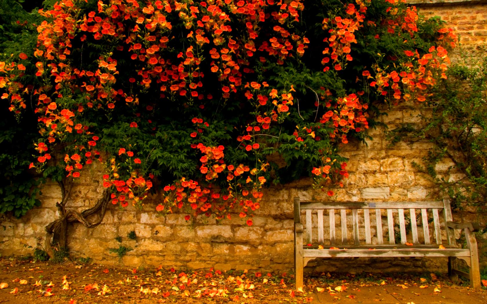 Autumn Bench Wallpapers - Top Free Autumn Bench Backgrounds ...