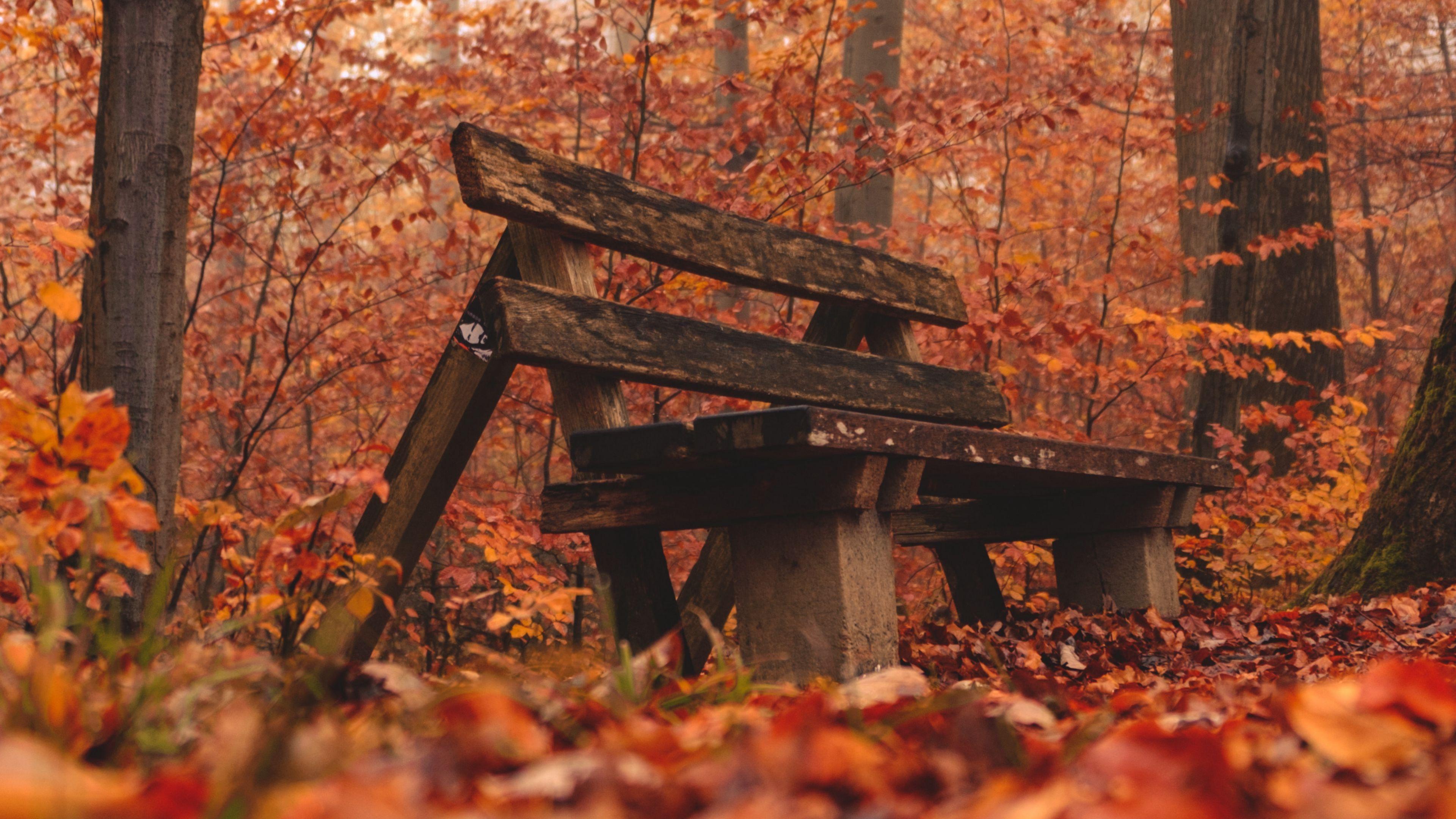 Autumn Bench Wallpapers - Top Free Autumn Bench Backgrounds ...