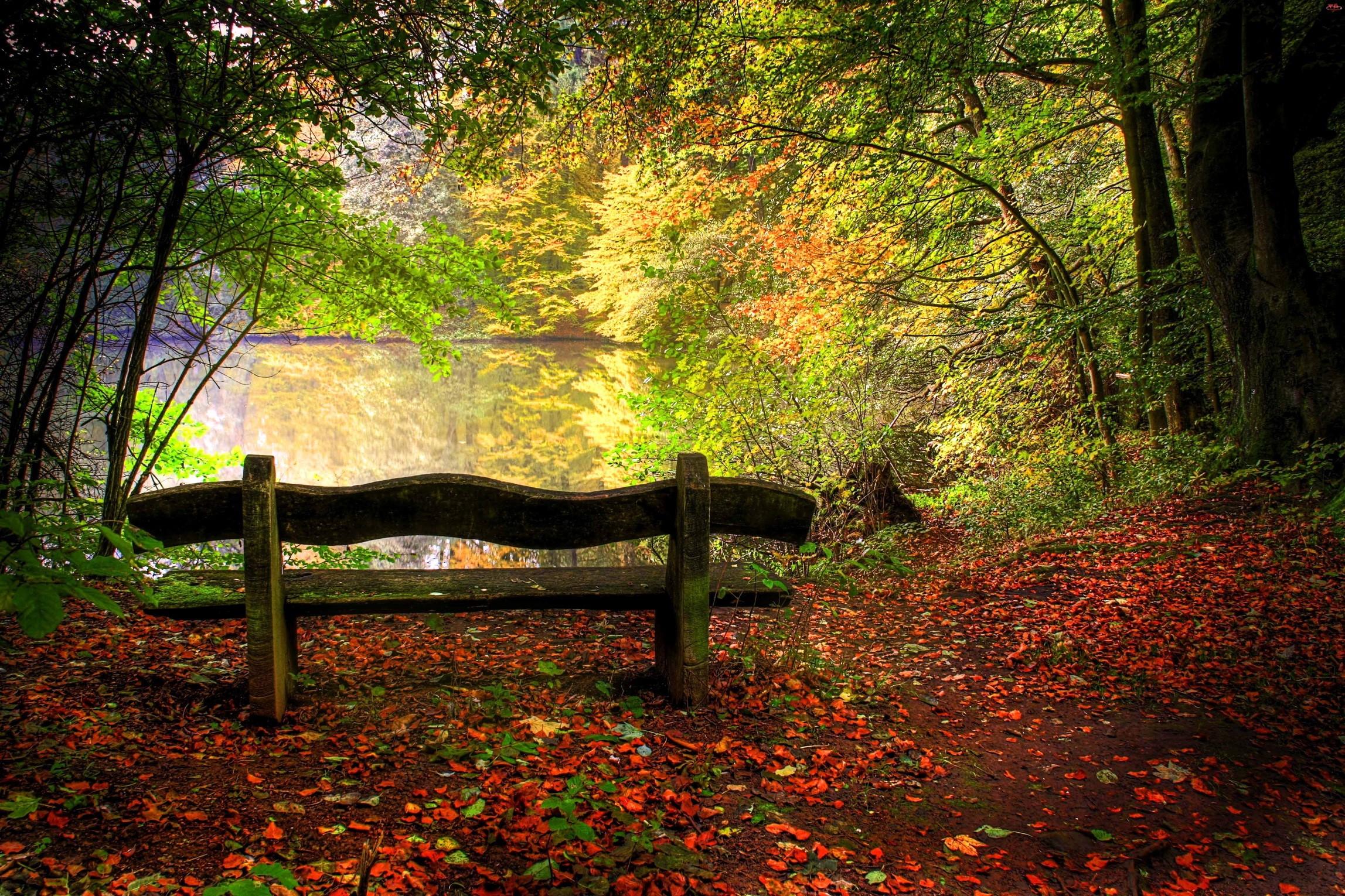 Autumn Bench Wallpapers - Top Free Autumn Bench Backgrounds ...