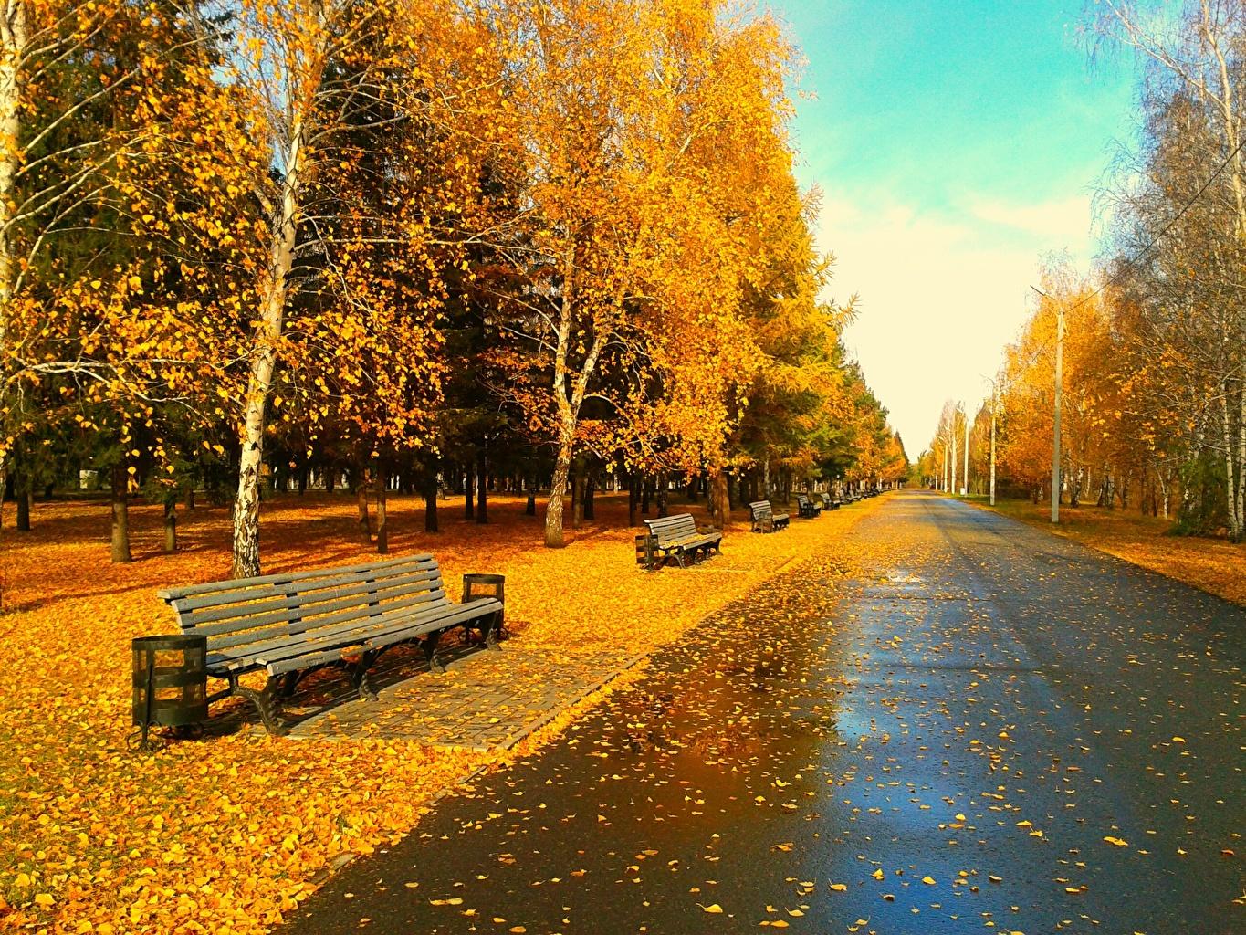 Autumn Bench Wallpapers - Top Free Autumn Bench Backgrounds ...