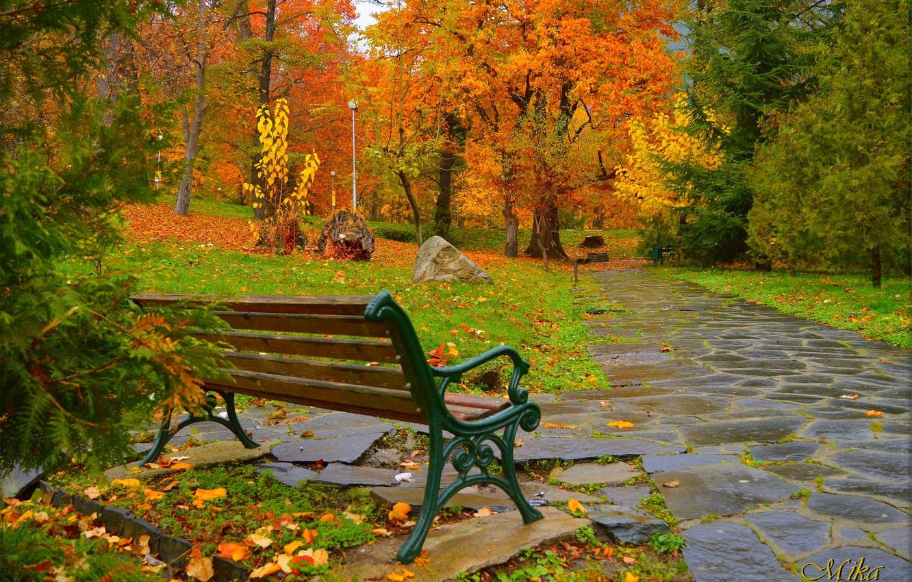 Autumn Bench Wallpapers - Top Free Autumn Bench Backgrounds ...