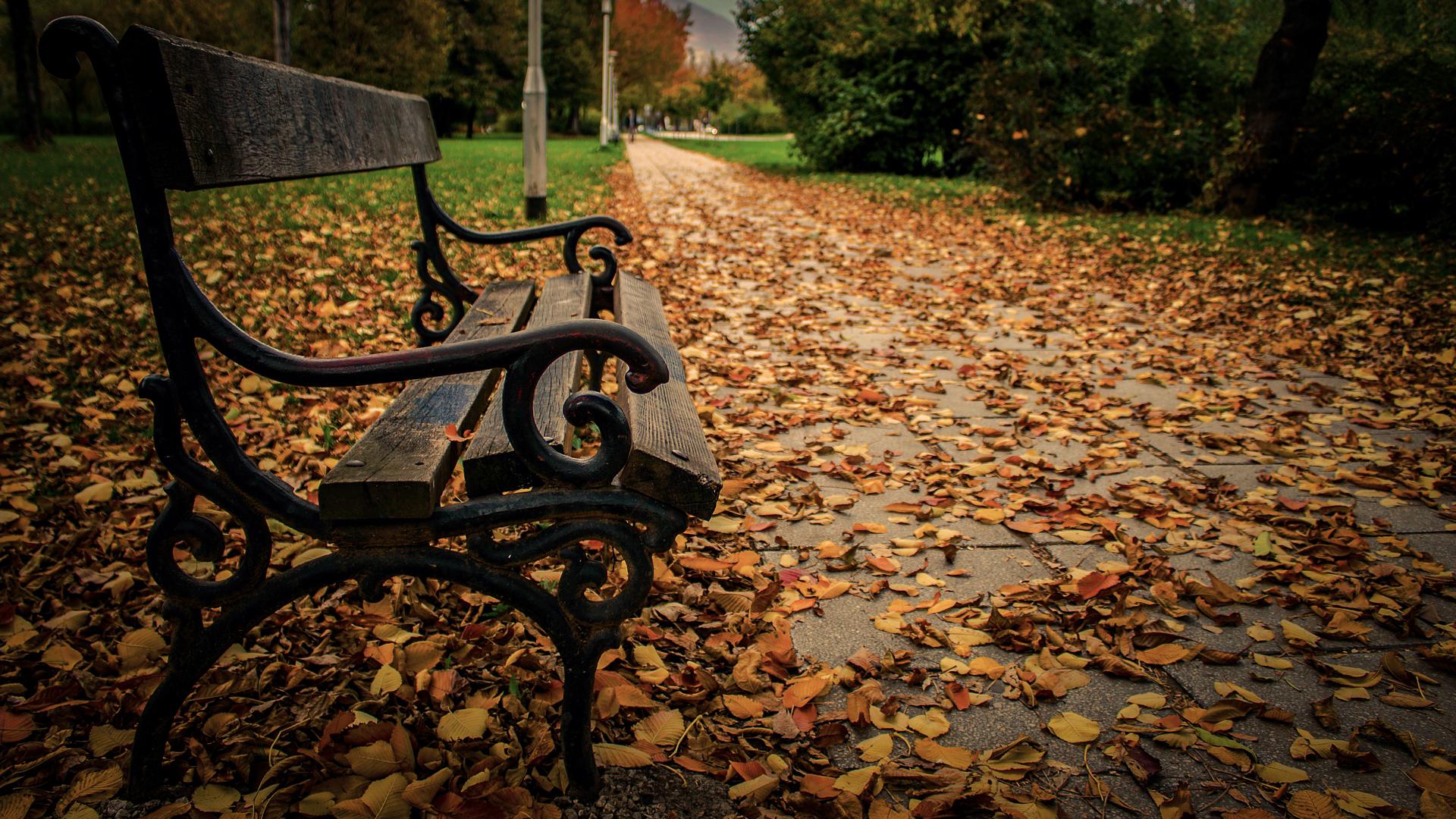 Autumn Bench Wallpapers - Top Free Autumn Bench Backgrounds ...