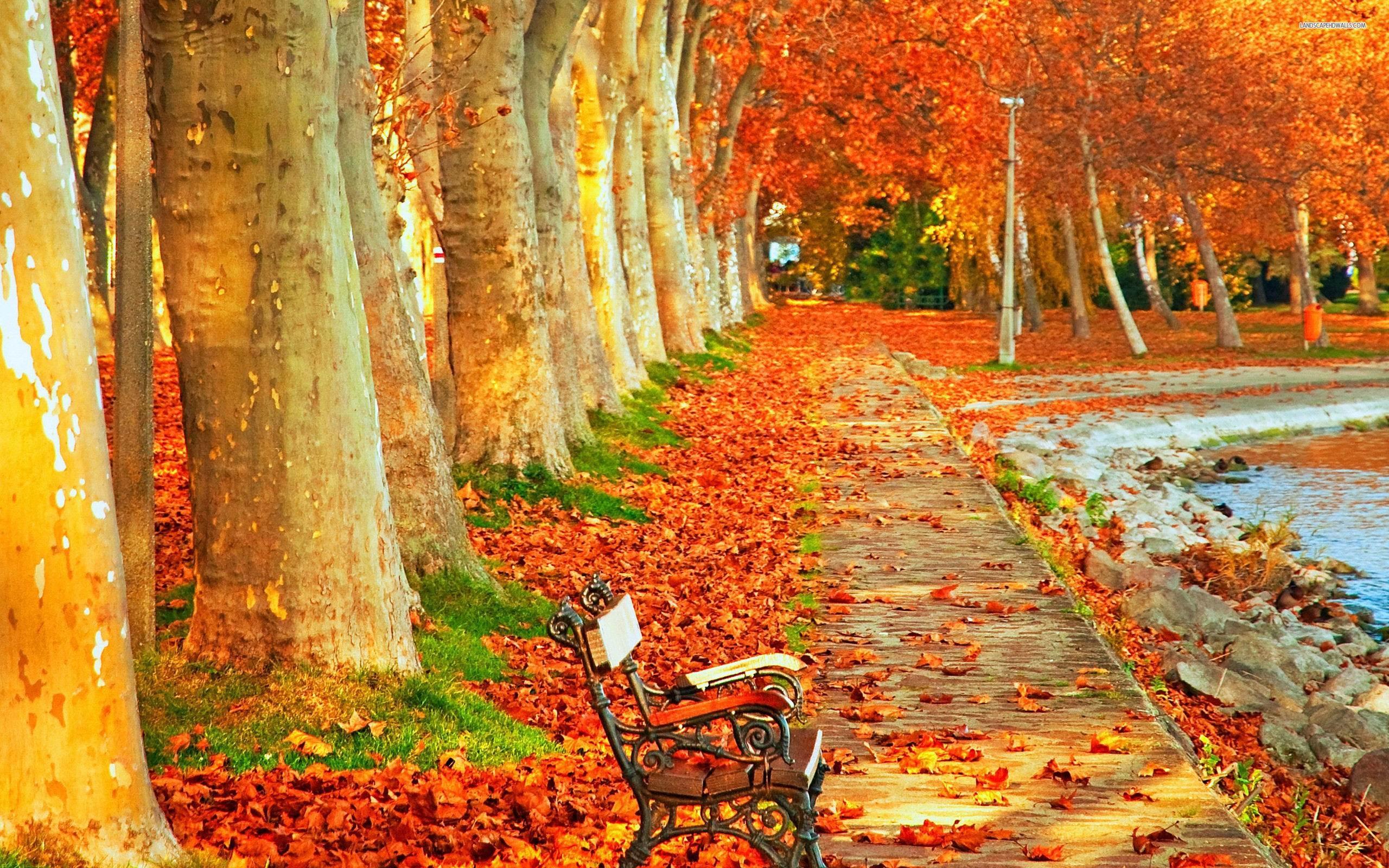 Autumn Bench Wallpapers - Top Free Autumn Bench Backgrounds ...