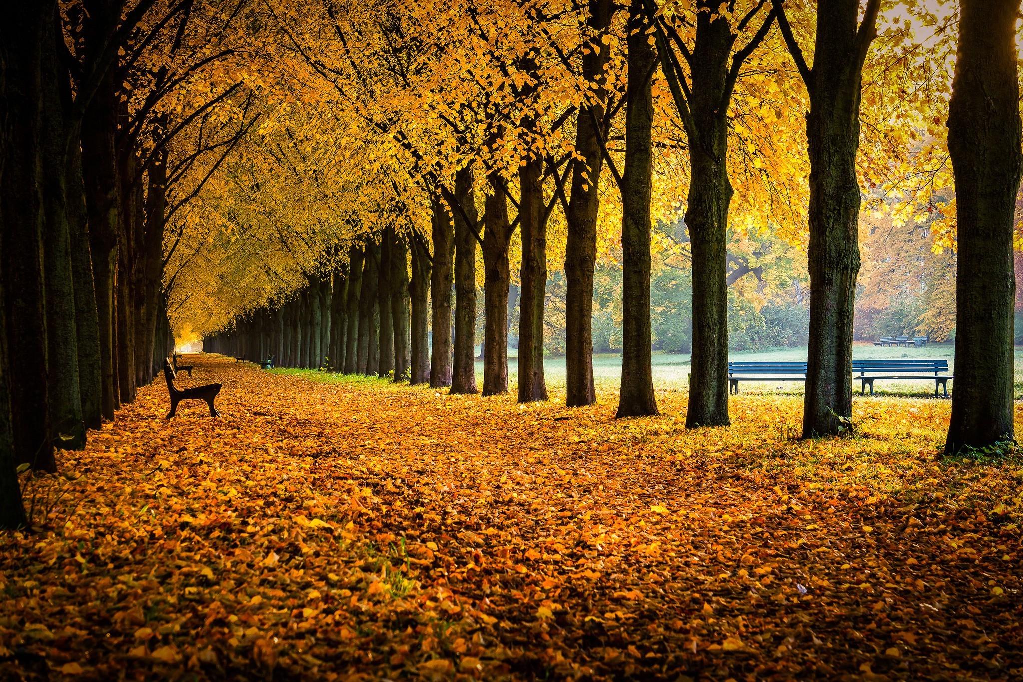 Autumn Bench Wallpapers - Top Free Autumn Bench Backgrounds ...