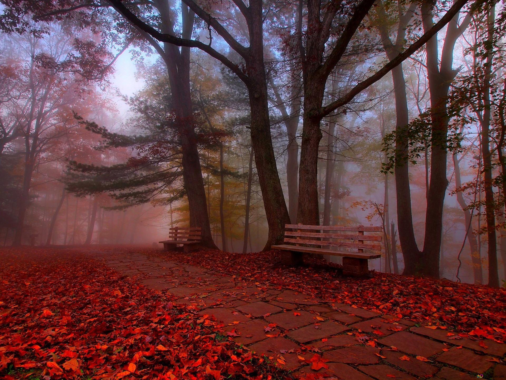 Autumn Bench Wallpapers - Top Free Autumn Bench Backgrounds ...