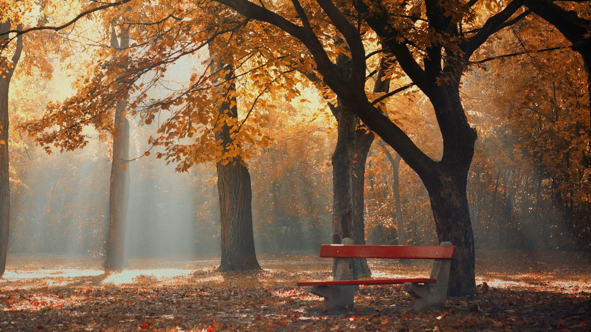 Autumn Bench Wallpapers - Top Free Autumn Bench Backgrounds ...