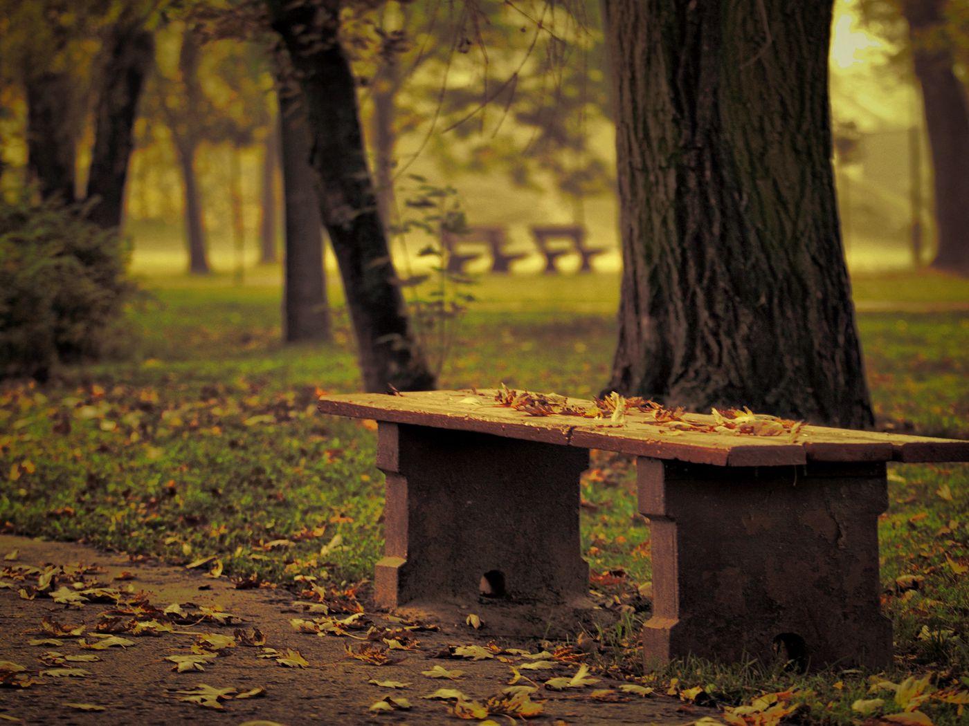 Autumn Bench Wallpapers - Top Free Autumn Bench Backgrounds ...