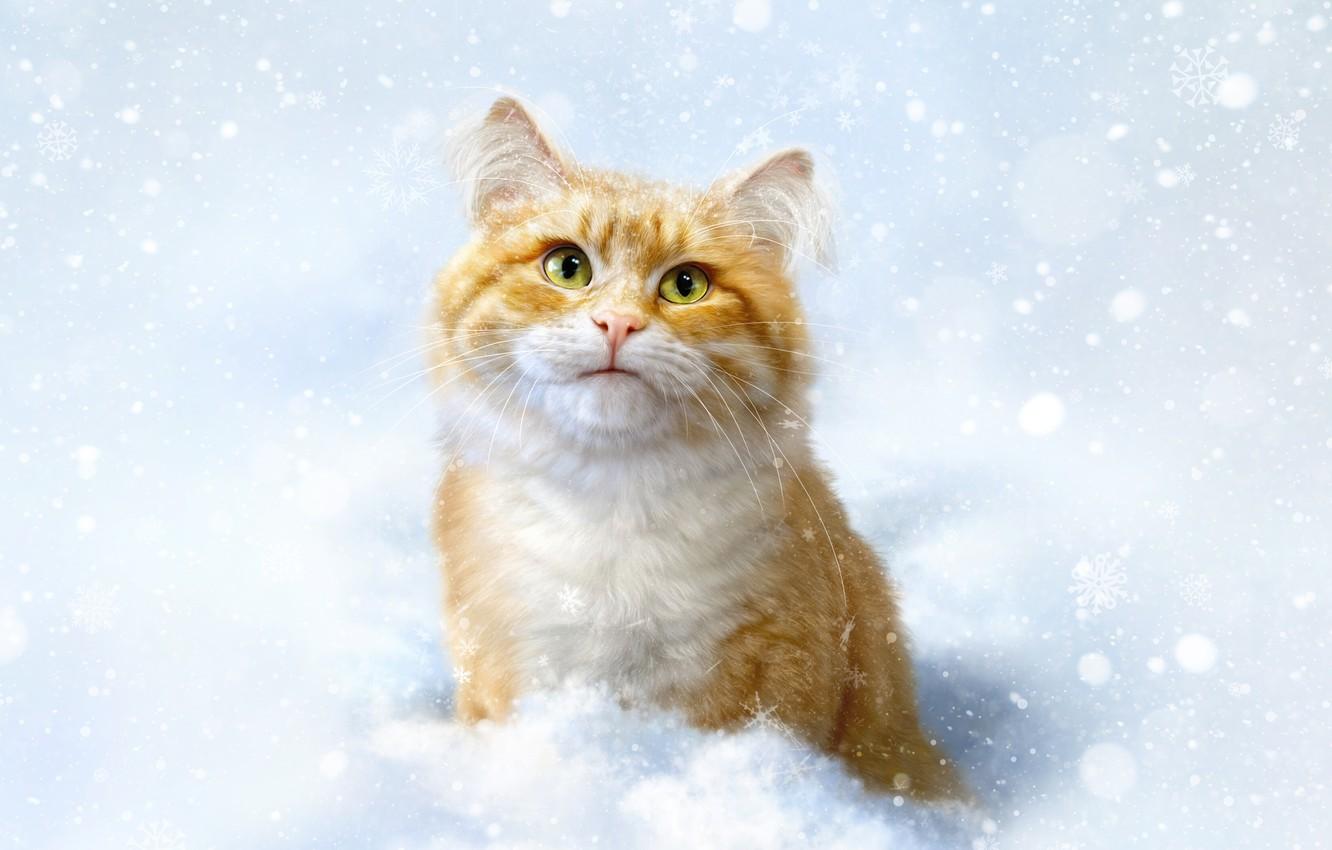 Cat Art Winter Wallpapers - Top Free Cat Art Winter Backgrounds ...