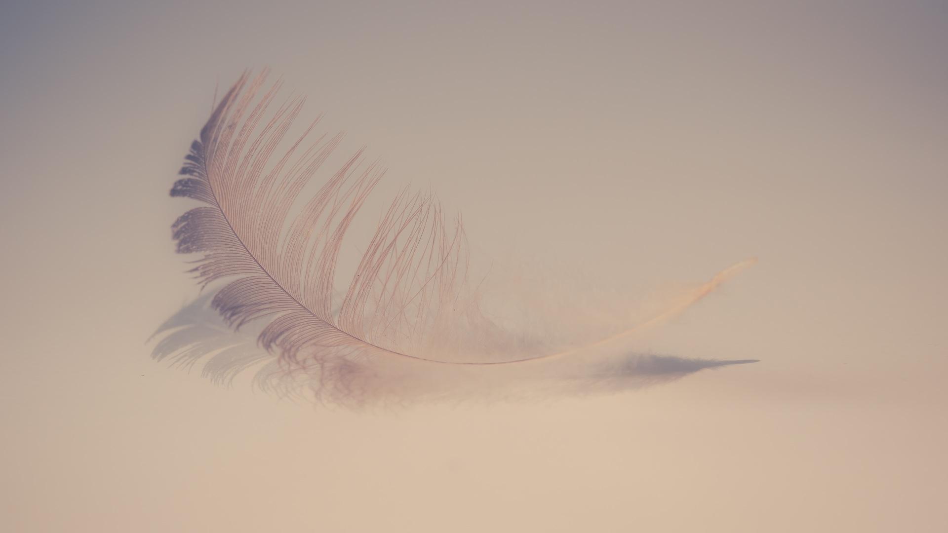 Soft Laptop Wallpapers - Top Free Soft Laptop Backgrounds - WallpaperAccess
