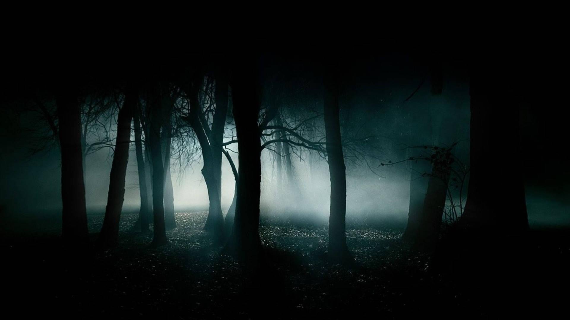 Dark Creepy Forest Wallpapers - Top Free Dark Creepy Forest Backgrounds ...