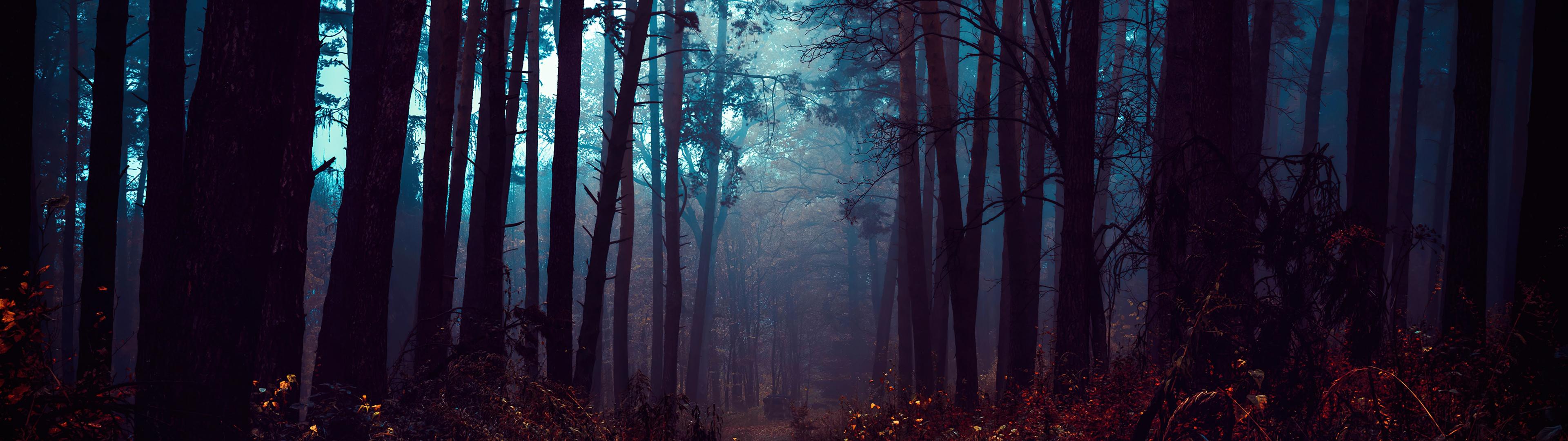 Dark Creepy Forest Wallpapers - Top Free Dark Creepy Forest Backgrounds ...