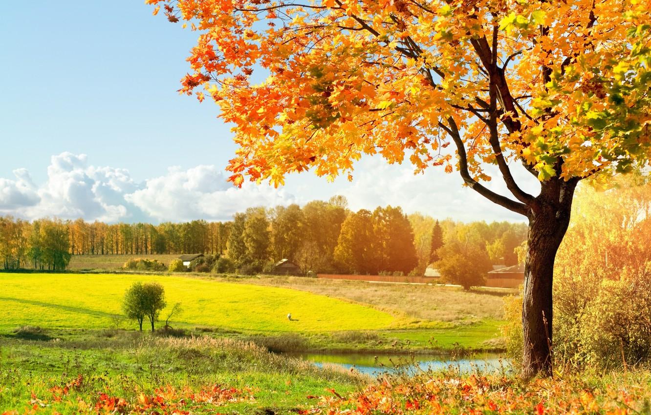 Warm Autumn Wallpapers - Top Free Warm Autumn Backgrounds - WallpaperAccess