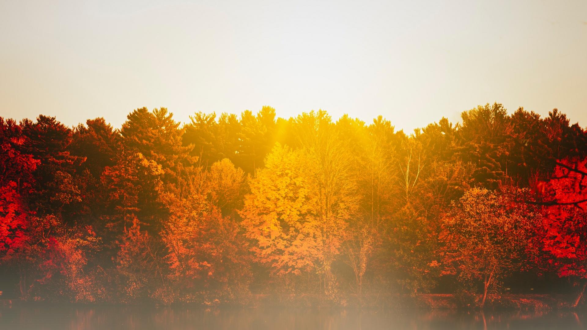 Warm Autumn Wallpapers - Top Free Warm Autumn Backgrounds - WallpaperAccess