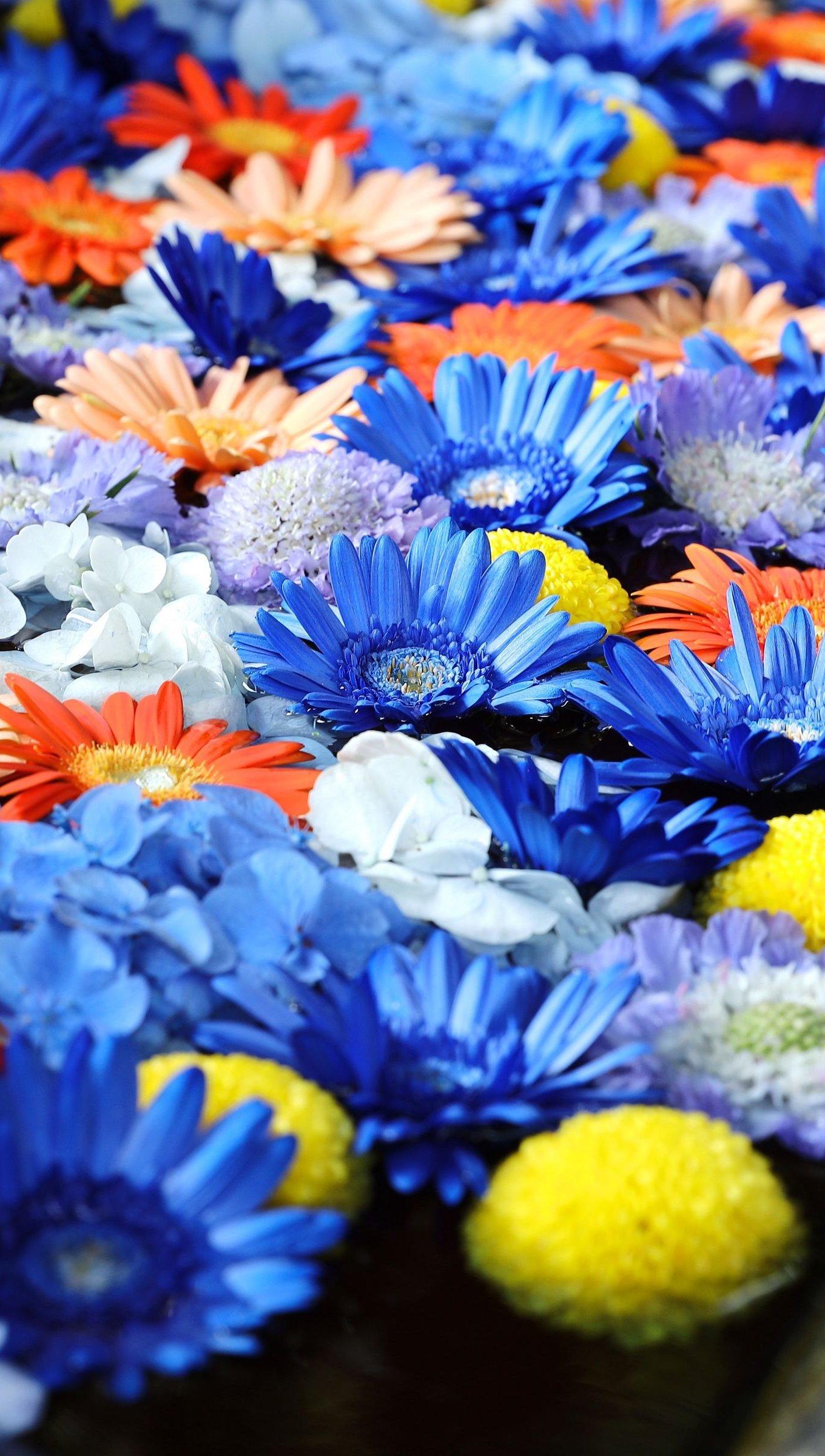 Water and Flower Wallpapers - Top Free Water and Flower Backgrounds ...